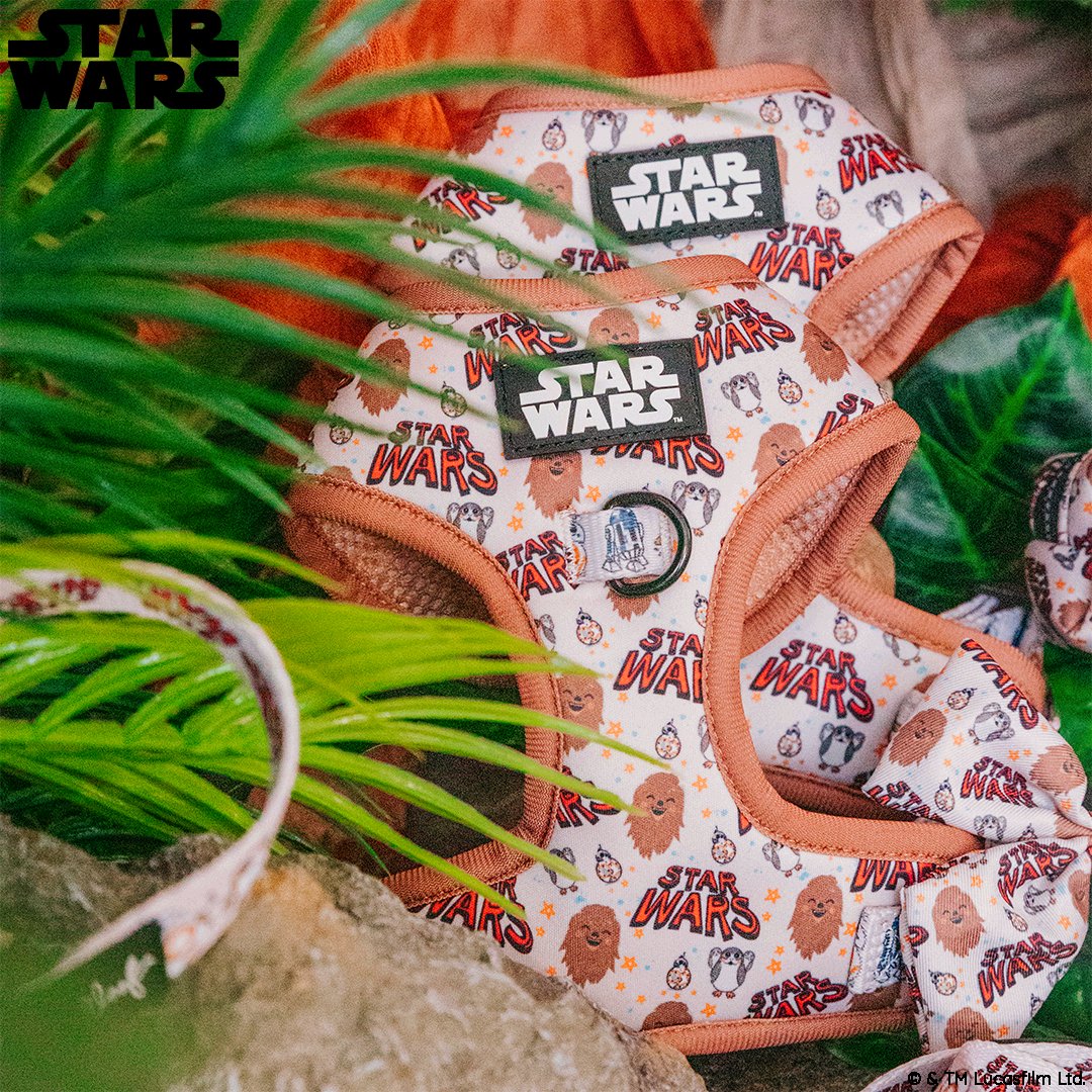 STAR WARS™ The Rebel Alliance | Sassy Woof Collection