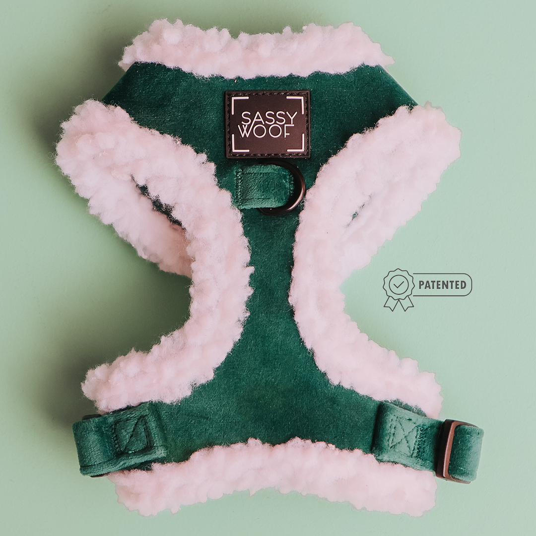 Dog Adjustable Harness - Nice | Sassy Woof Product