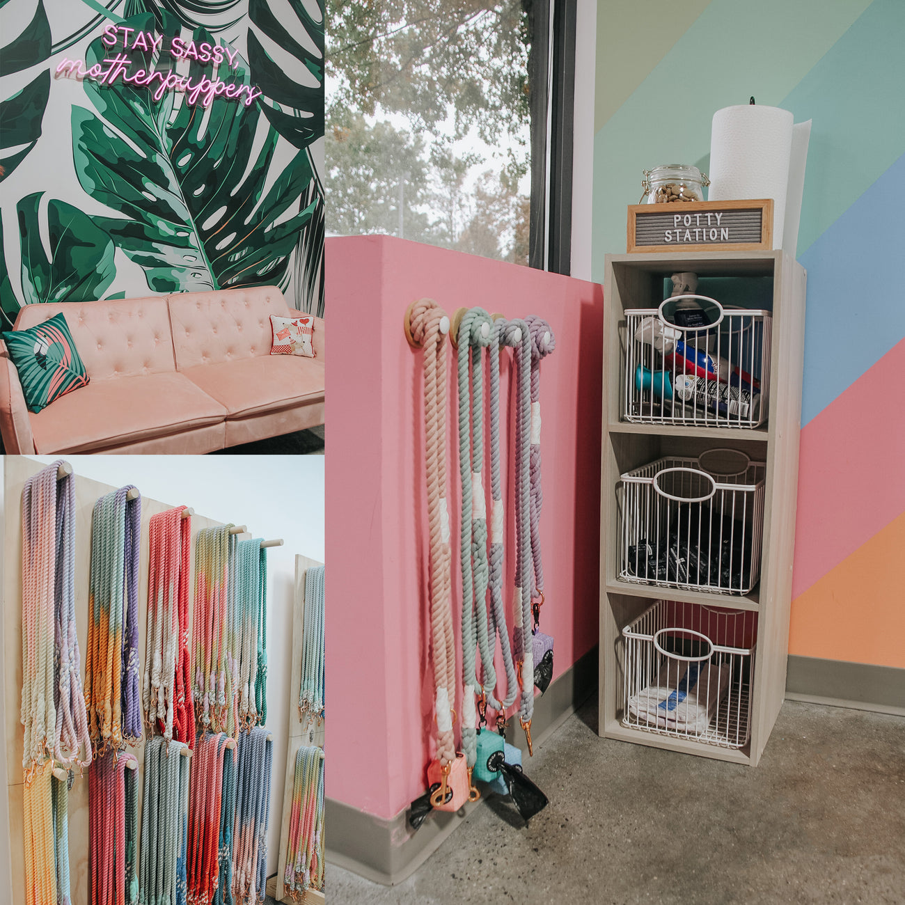 Sassy Woof Office Tour | Sassy Woof