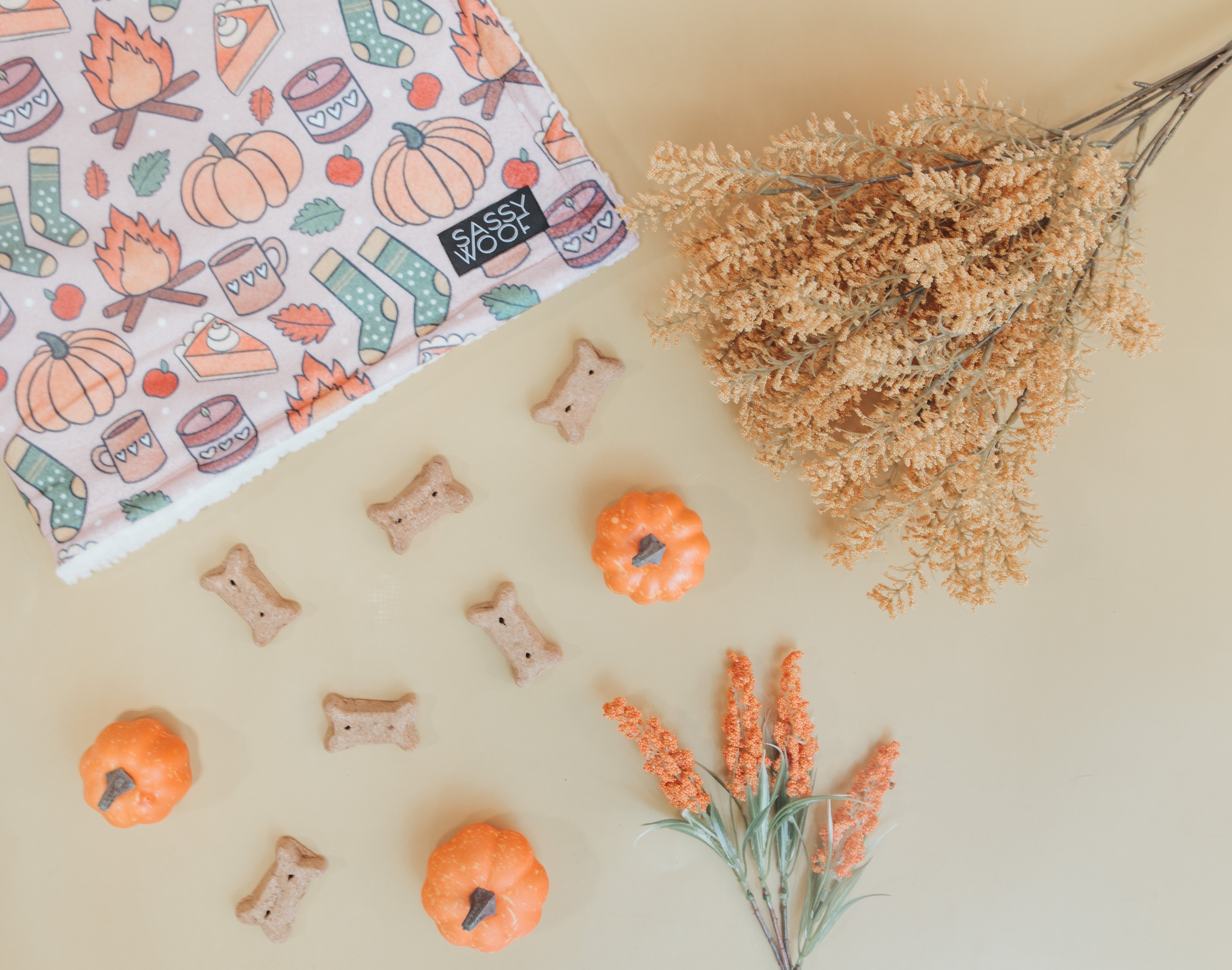 Fall Recipes for Pups | Sassy Woof