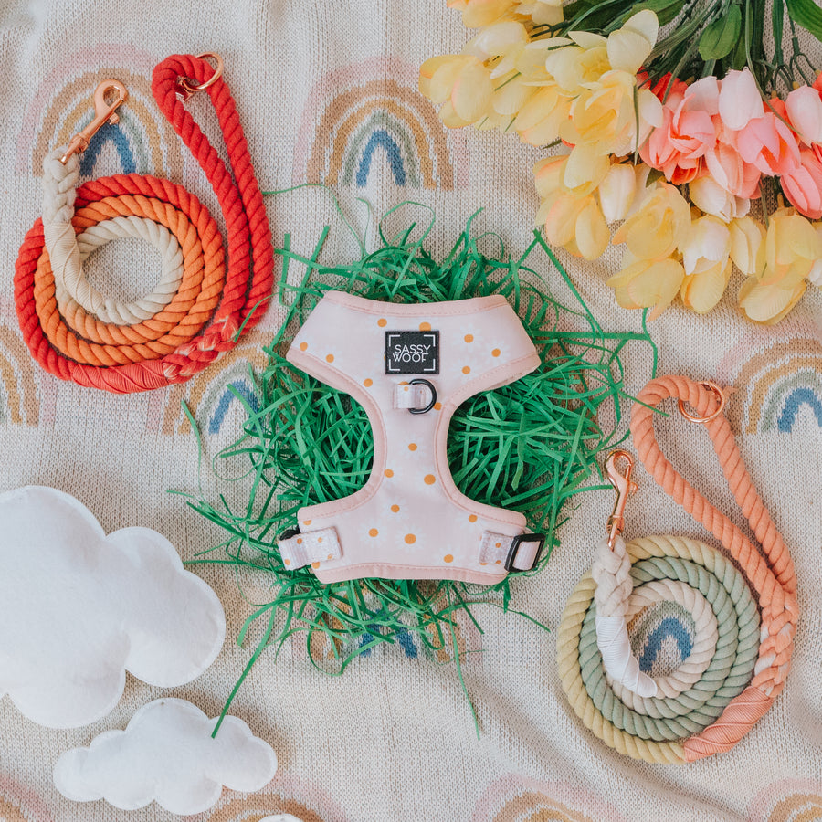 Harnesses & Ropes - Spring Edition | Sassy Woof