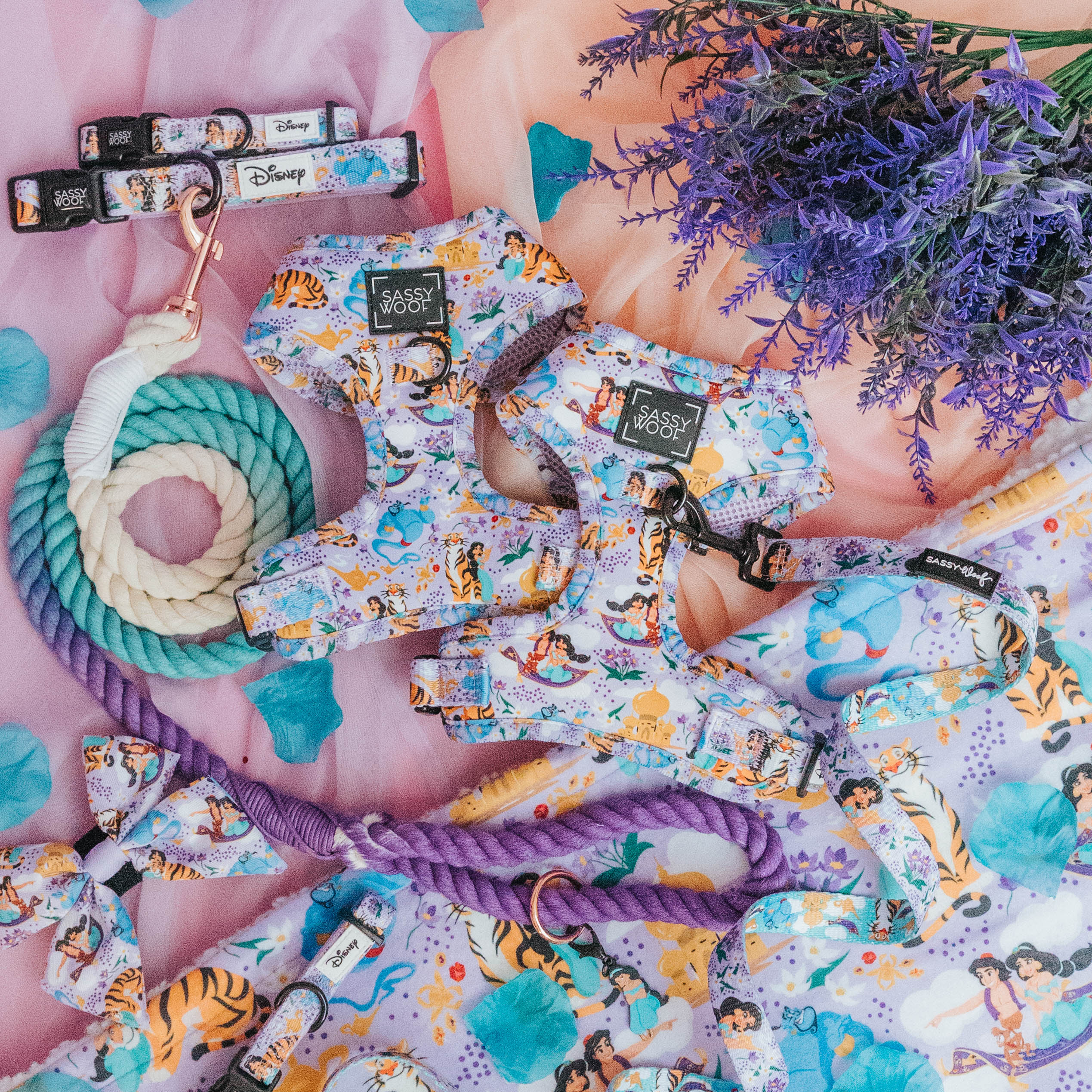 Disney's Jasmine | Sassy Woof Collection