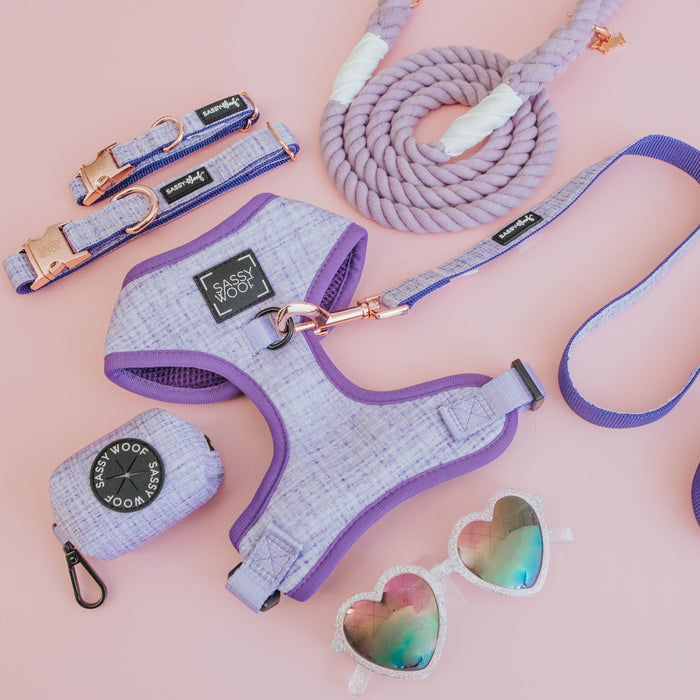 Collections | Sassy Woof