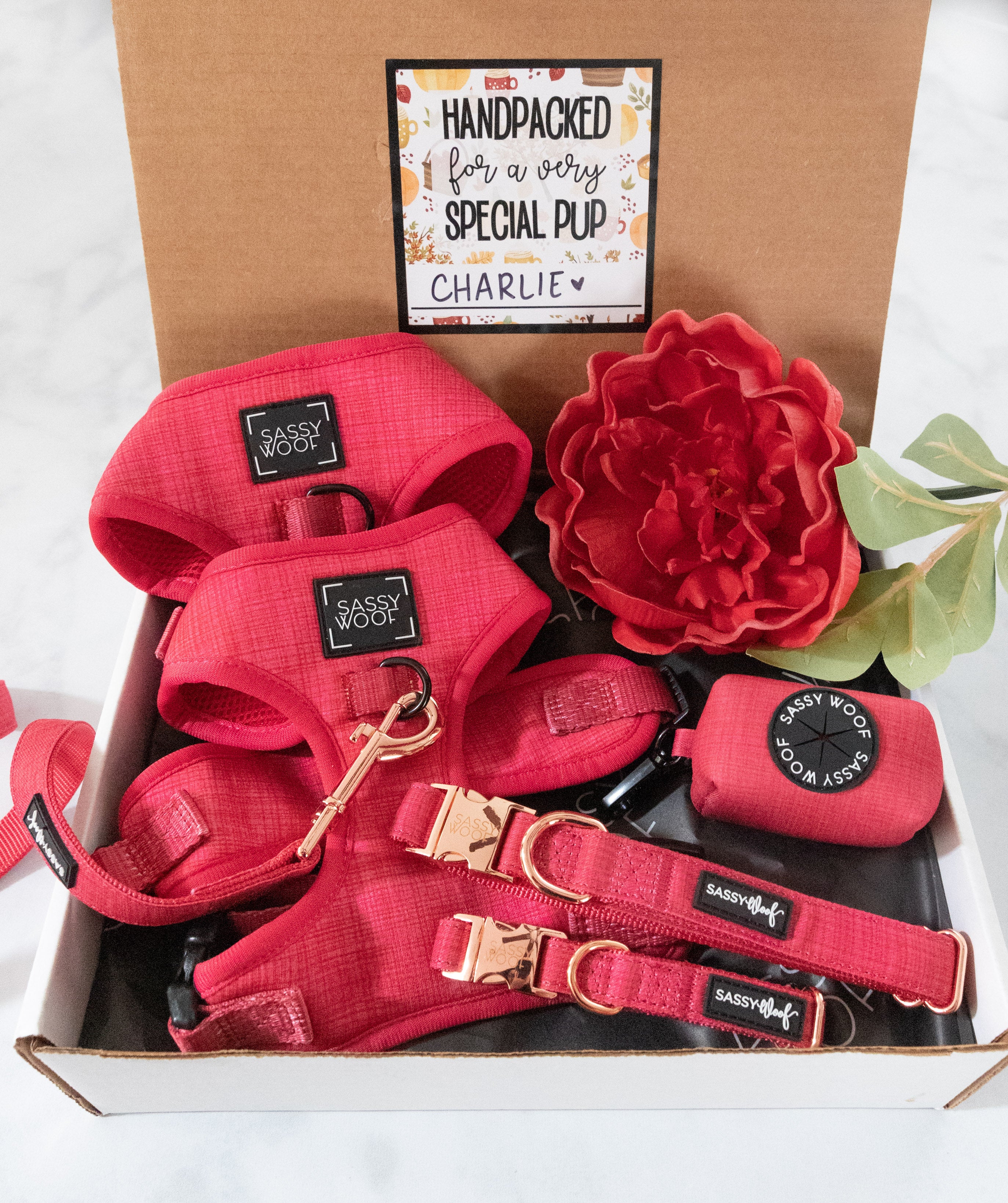 Merlot | Sassy Woof Collection