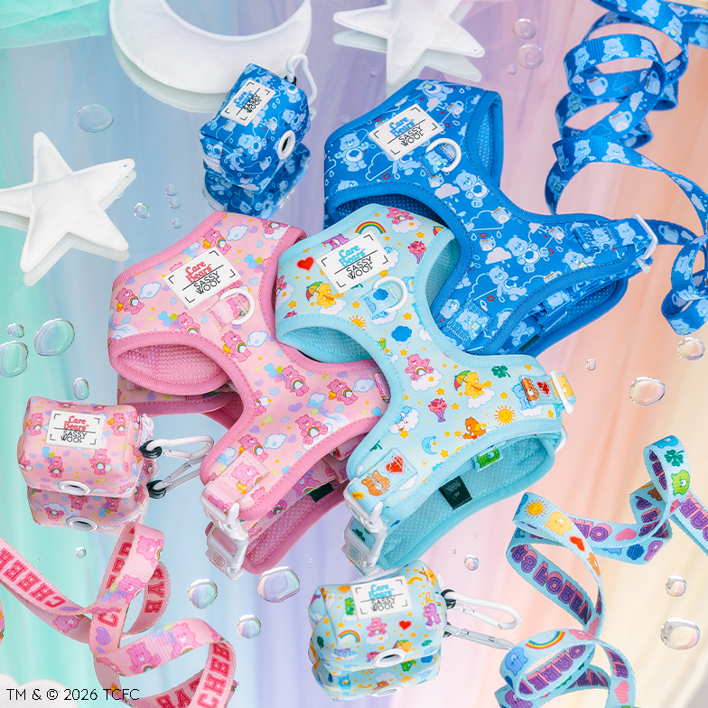 Care Bears™ | Sassy Woof Collection