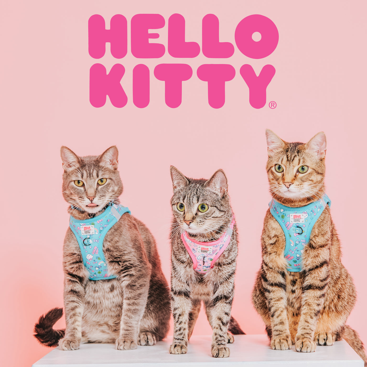Hello Kitty® Sassy Meow | Sassy Woof Collection