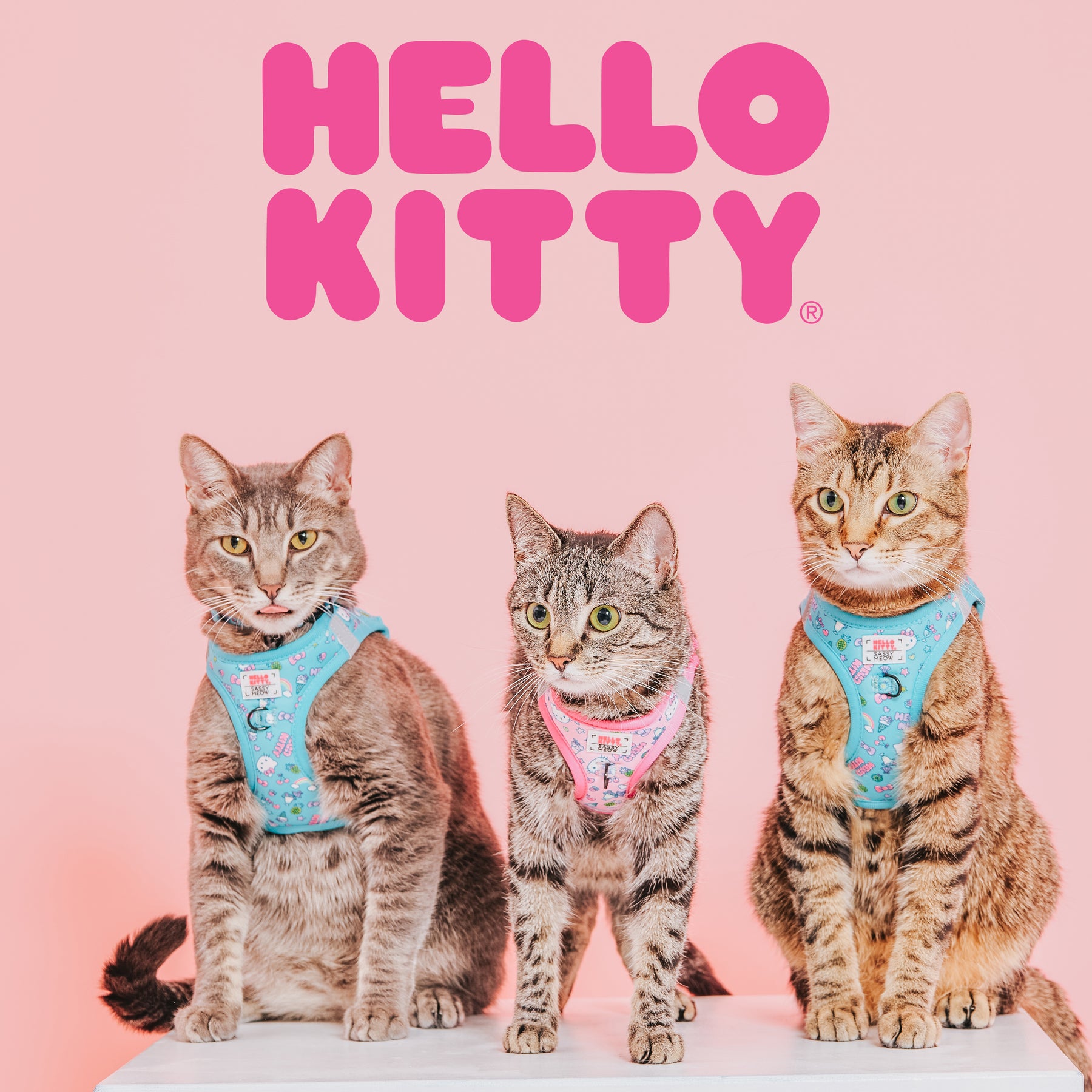 Hello Kitty® Sassy Meow | Sassy Woof Collection