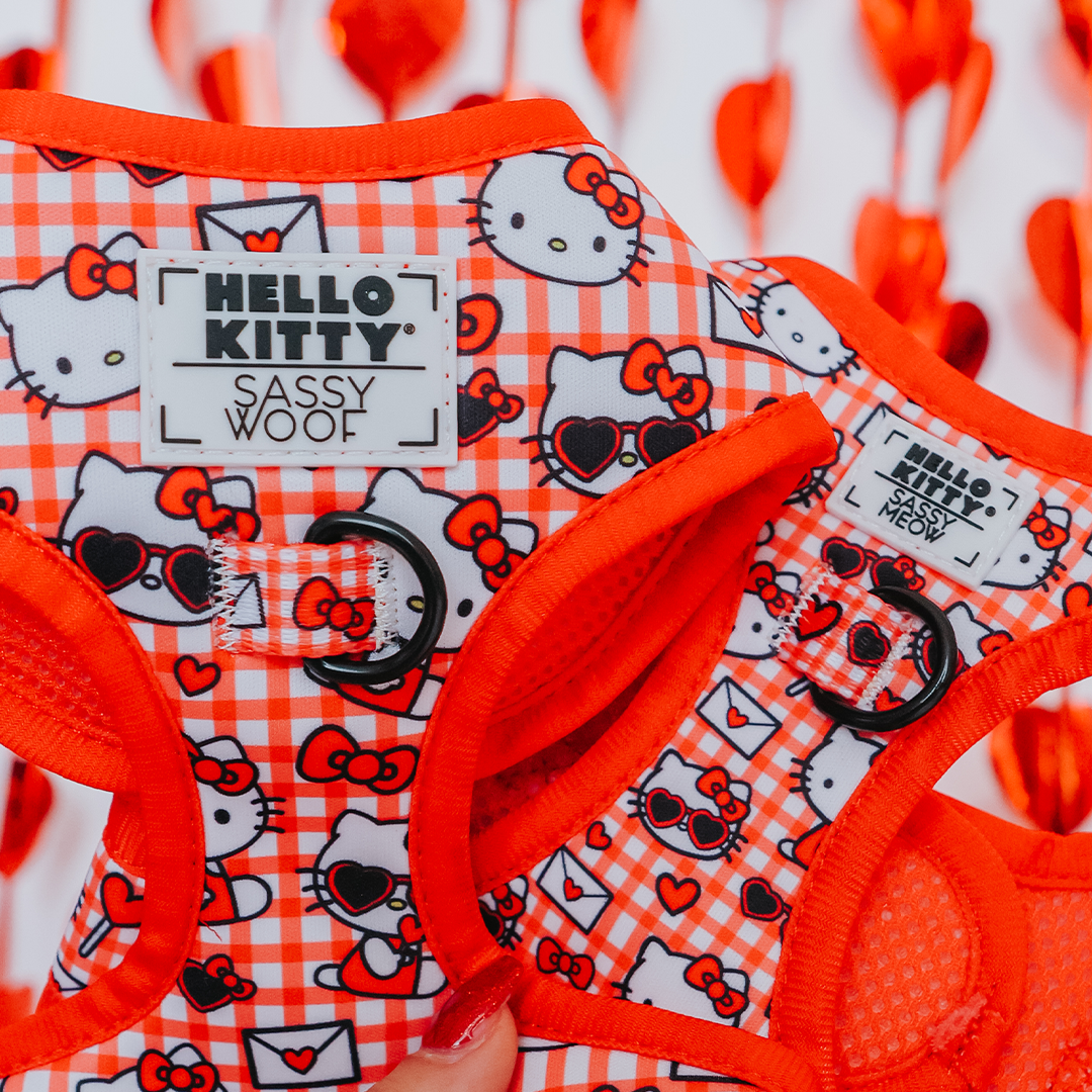 Hello Kitty®️ Red Classic | Sassy Woof Collection