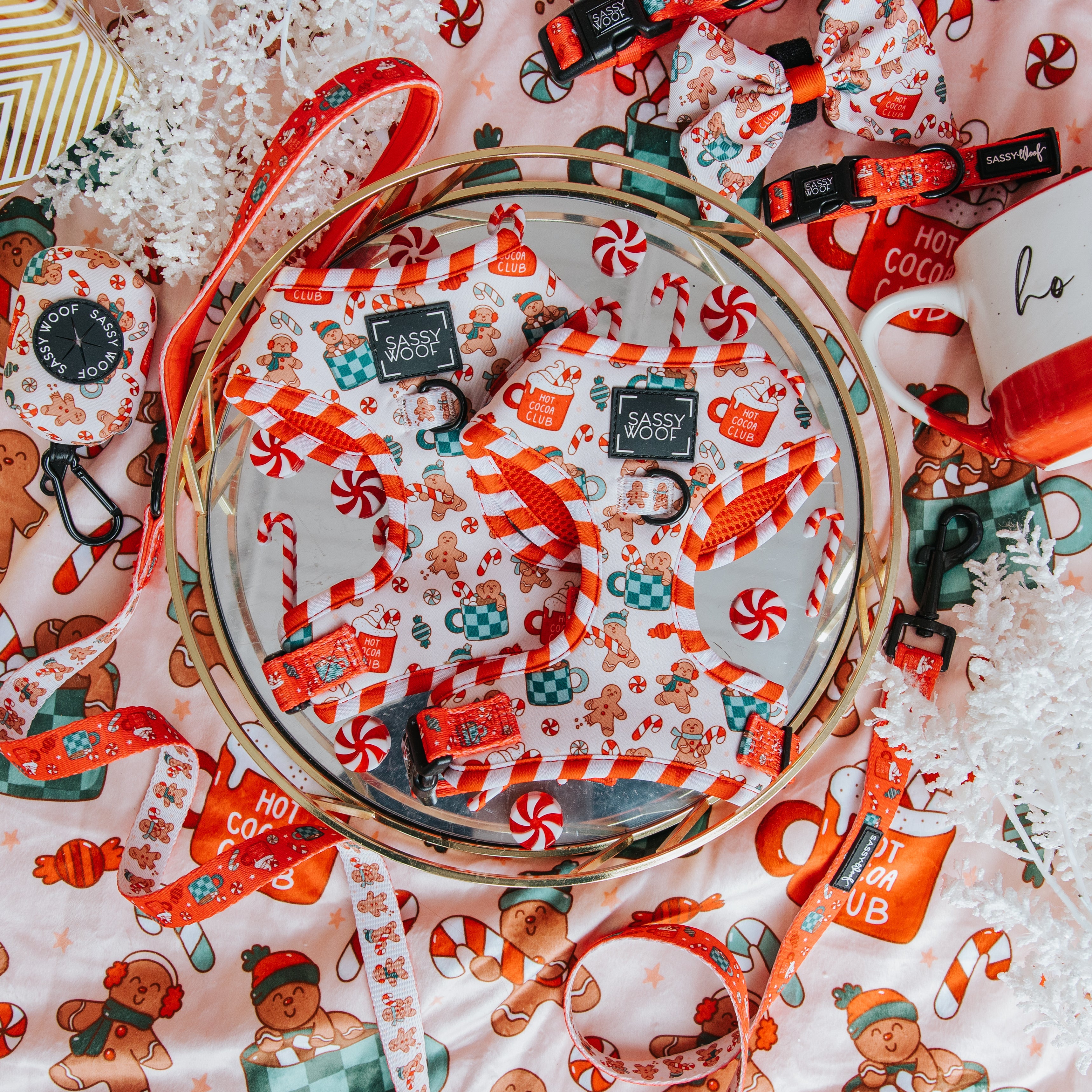 Hot Cocoa Club | Sassy Woof Collection