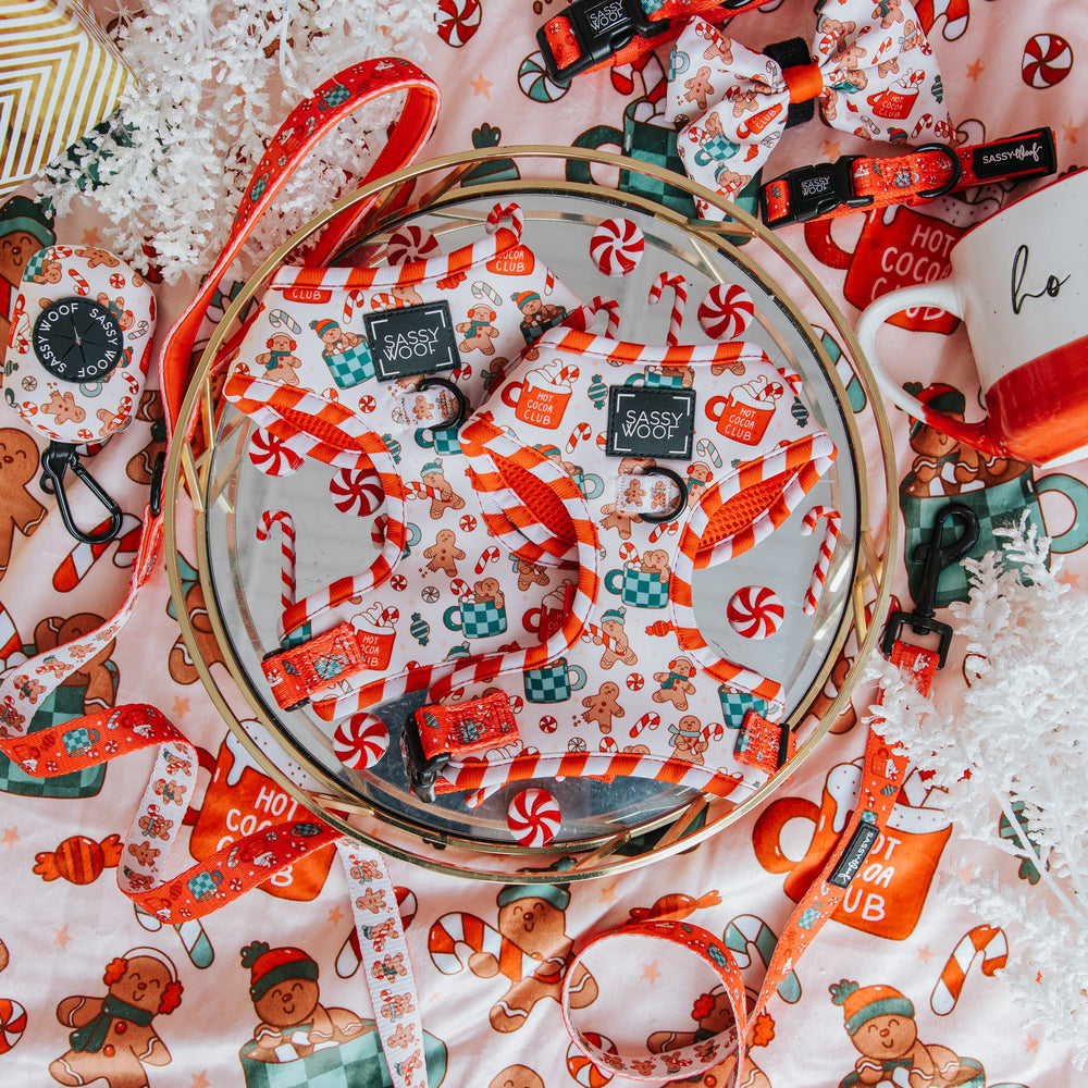 Hot Cocoa Club | Sassy Woof Collection