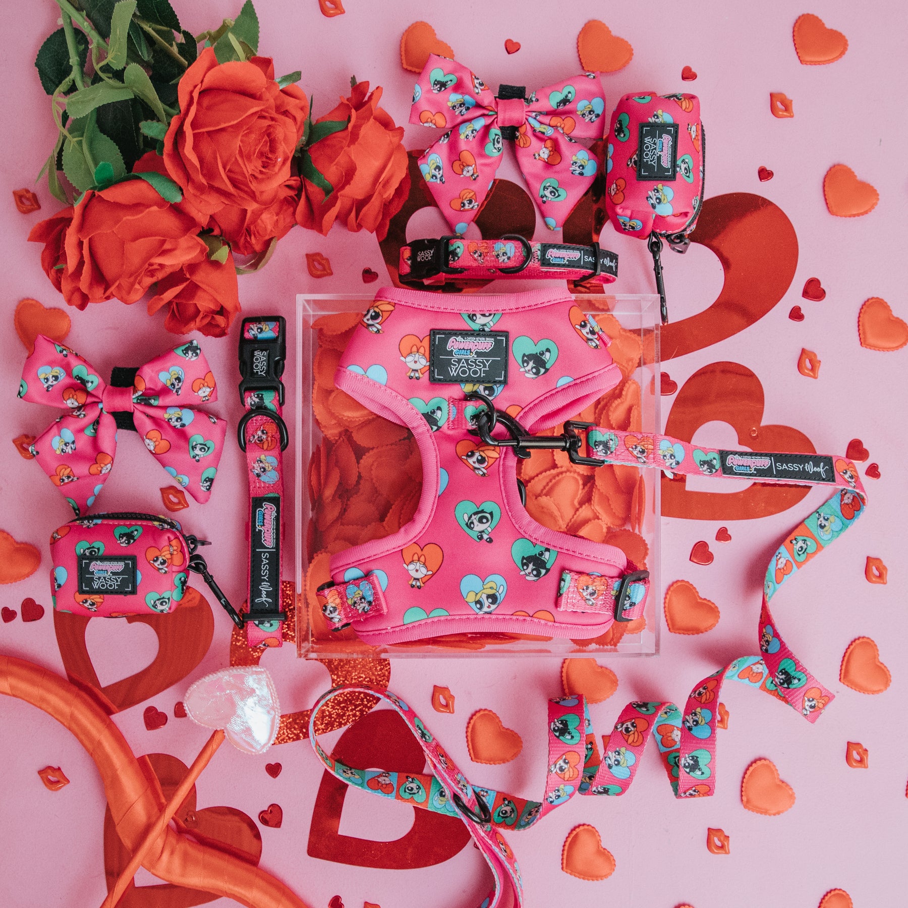 The Powerpuff Girls™️ Love Collection | Sassy Woof Collection