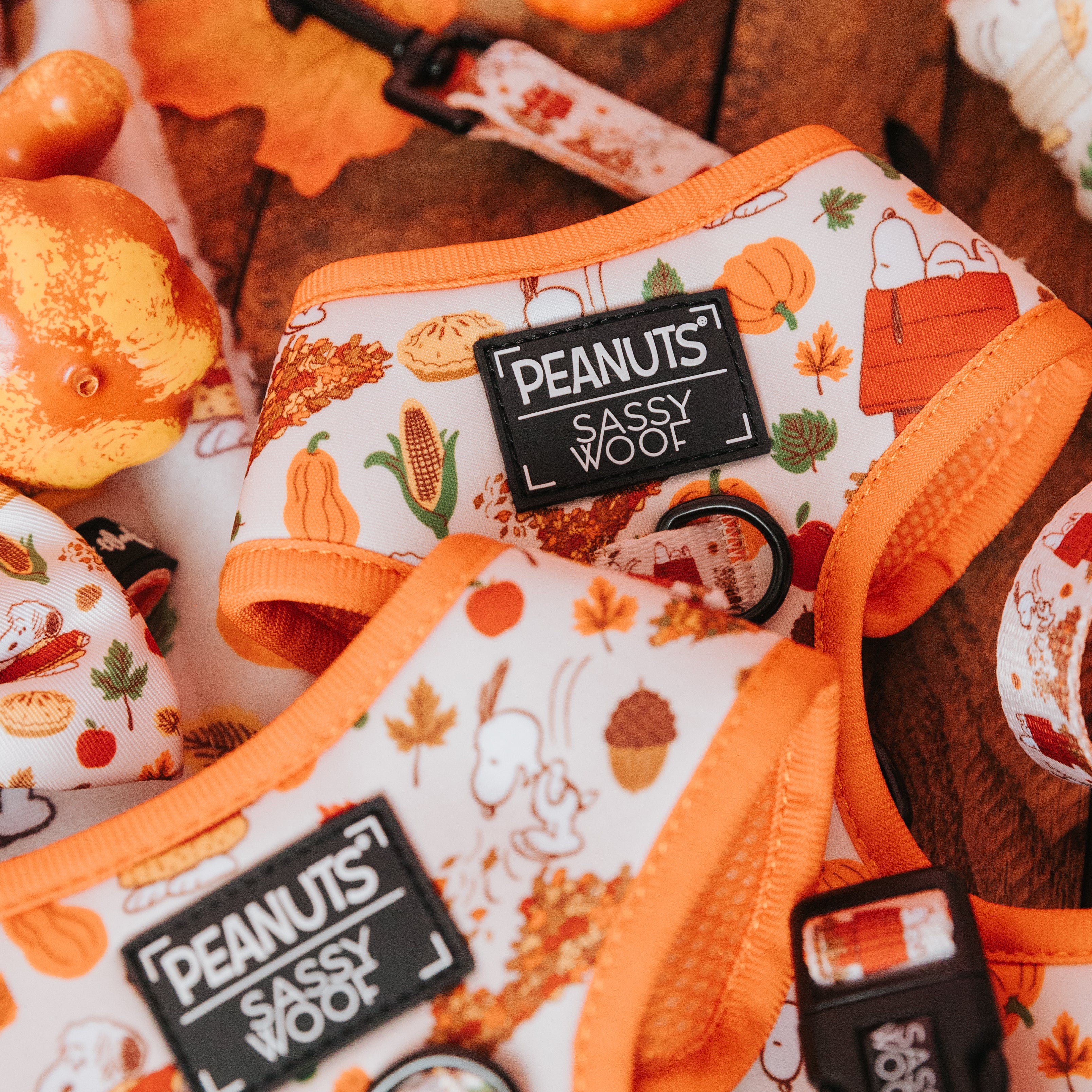 Peanuts™ x Sassy Woof | Sassy Woof Collection