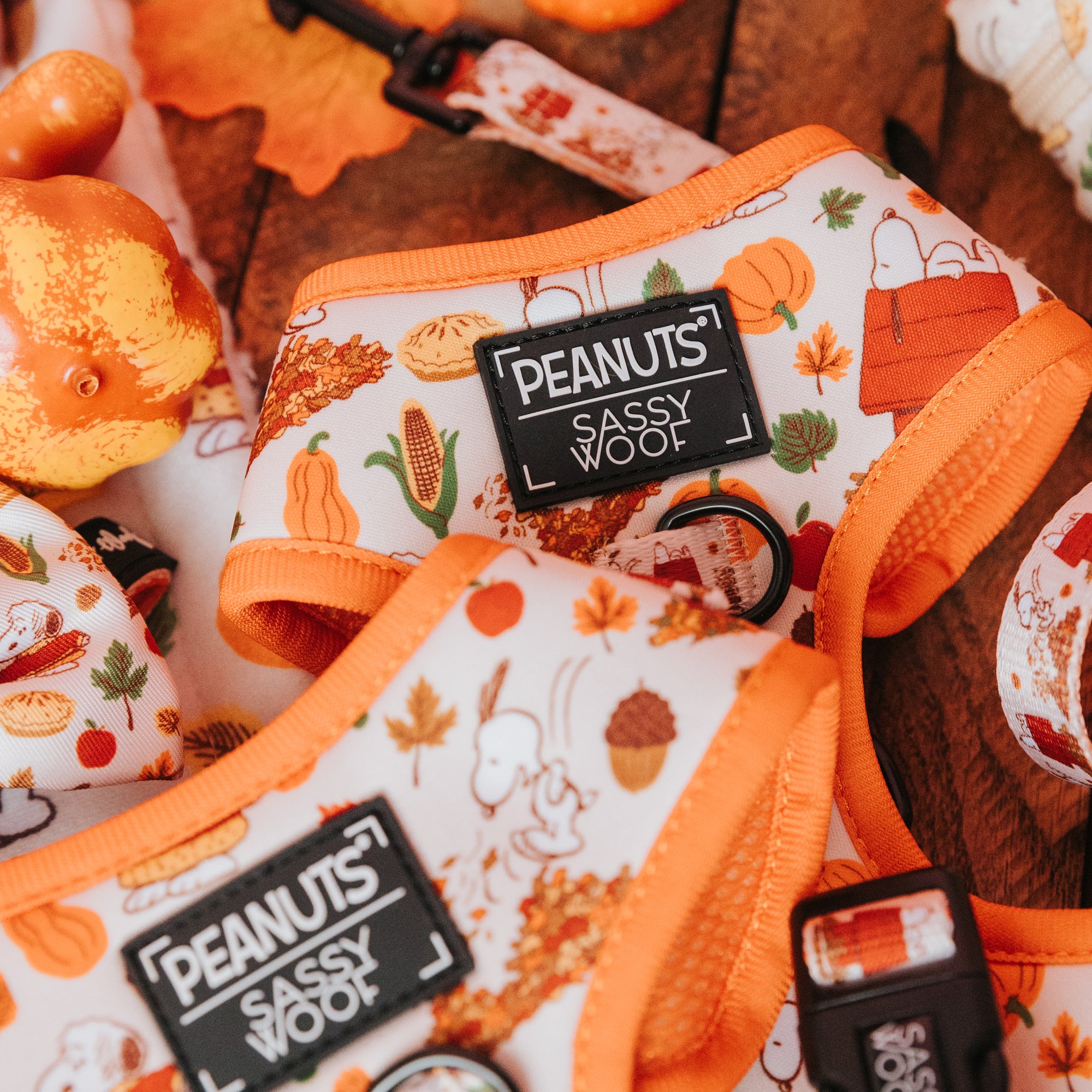 Peanuts™ x Sassy Woof | Sassy Woof Collection