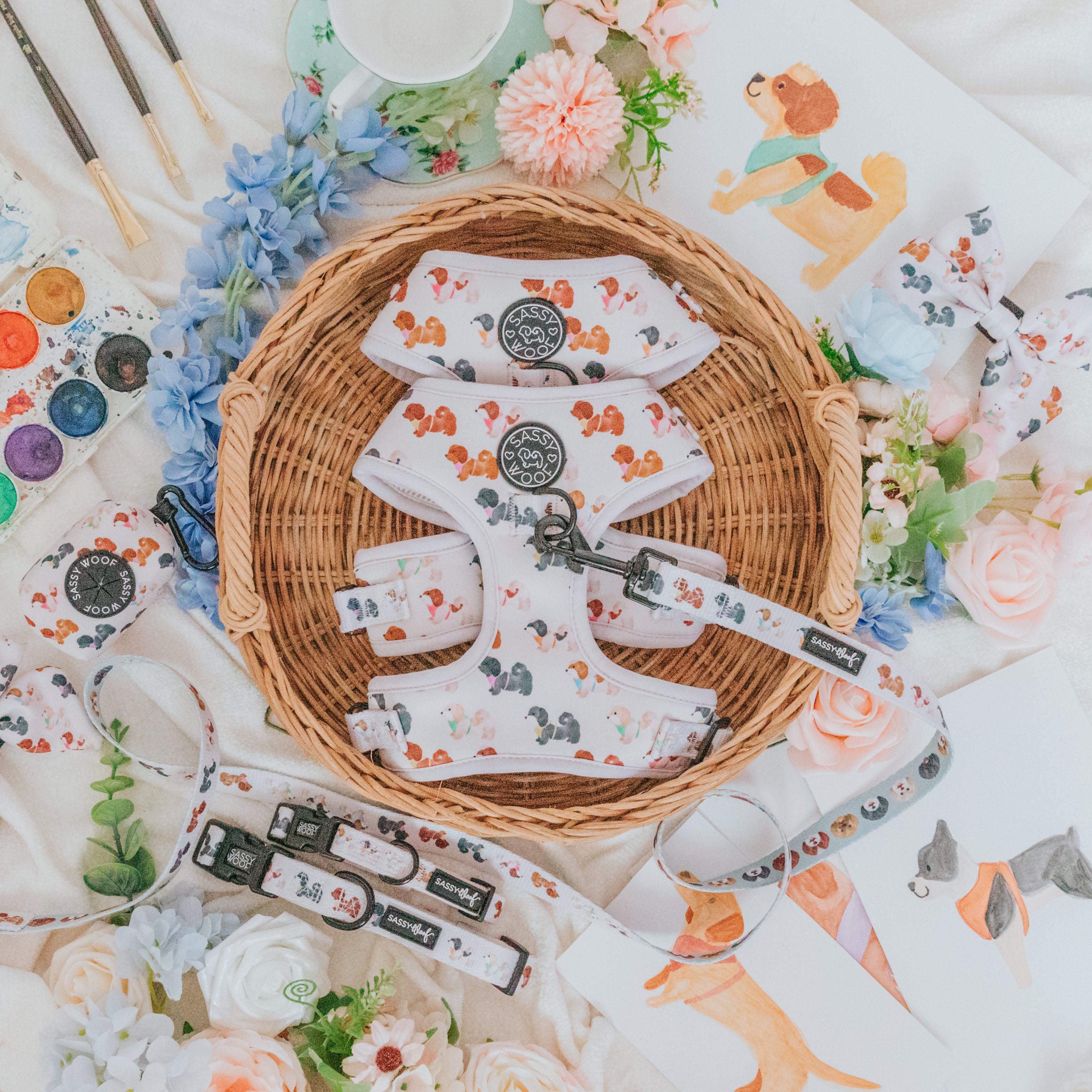 Spunky Shih Tzus | Sassy Woof Collection