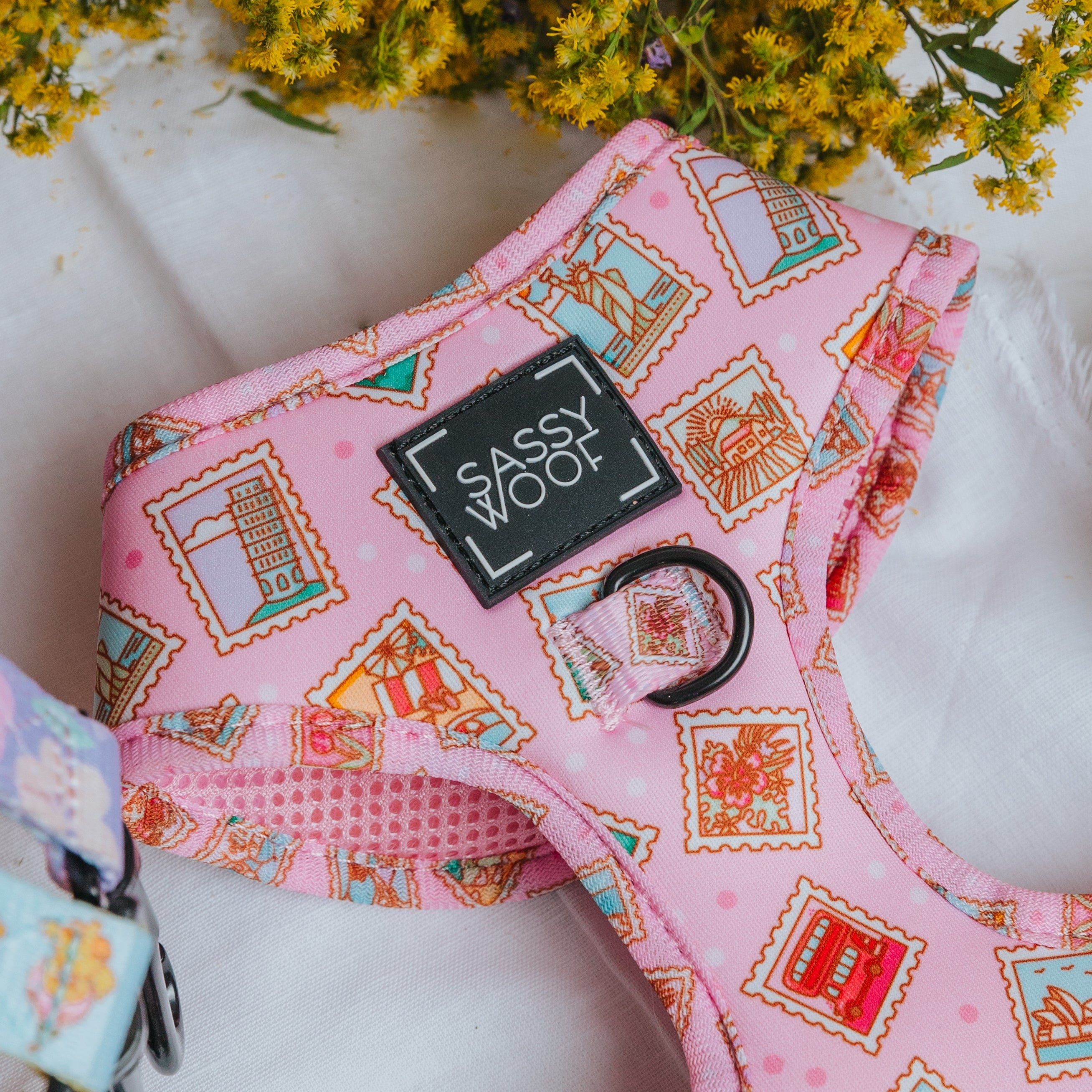 Out of Office | Sassy Woof Collection