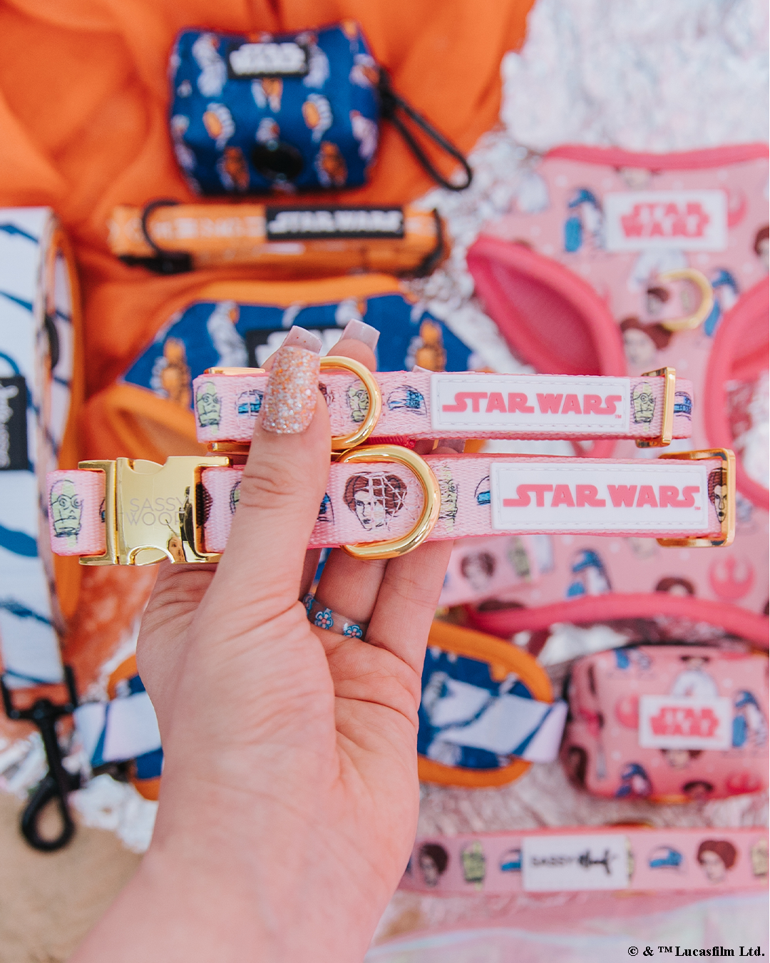 STAR WARS™ Princess Leia | Sassy Woof Collection