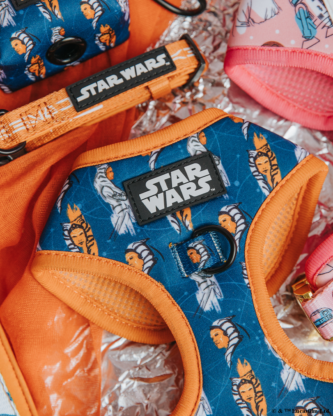 STAR WARS™ Ahsoka | Sassy Woof Collection