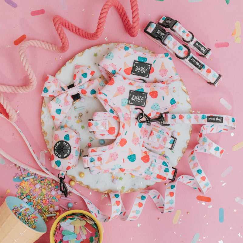 Collections | Sassy Woof