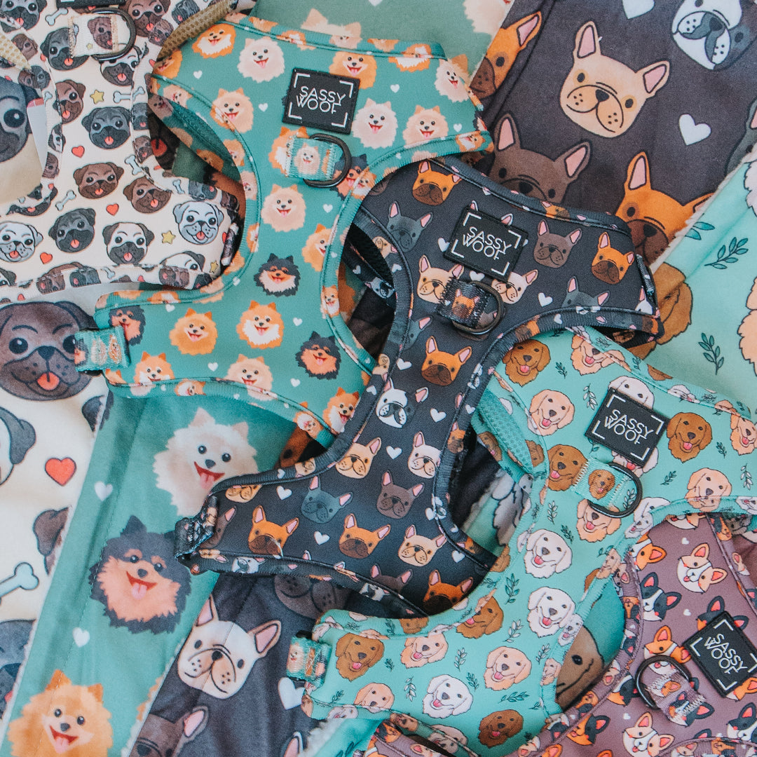 Breed Collections | Sassy Woof Collection