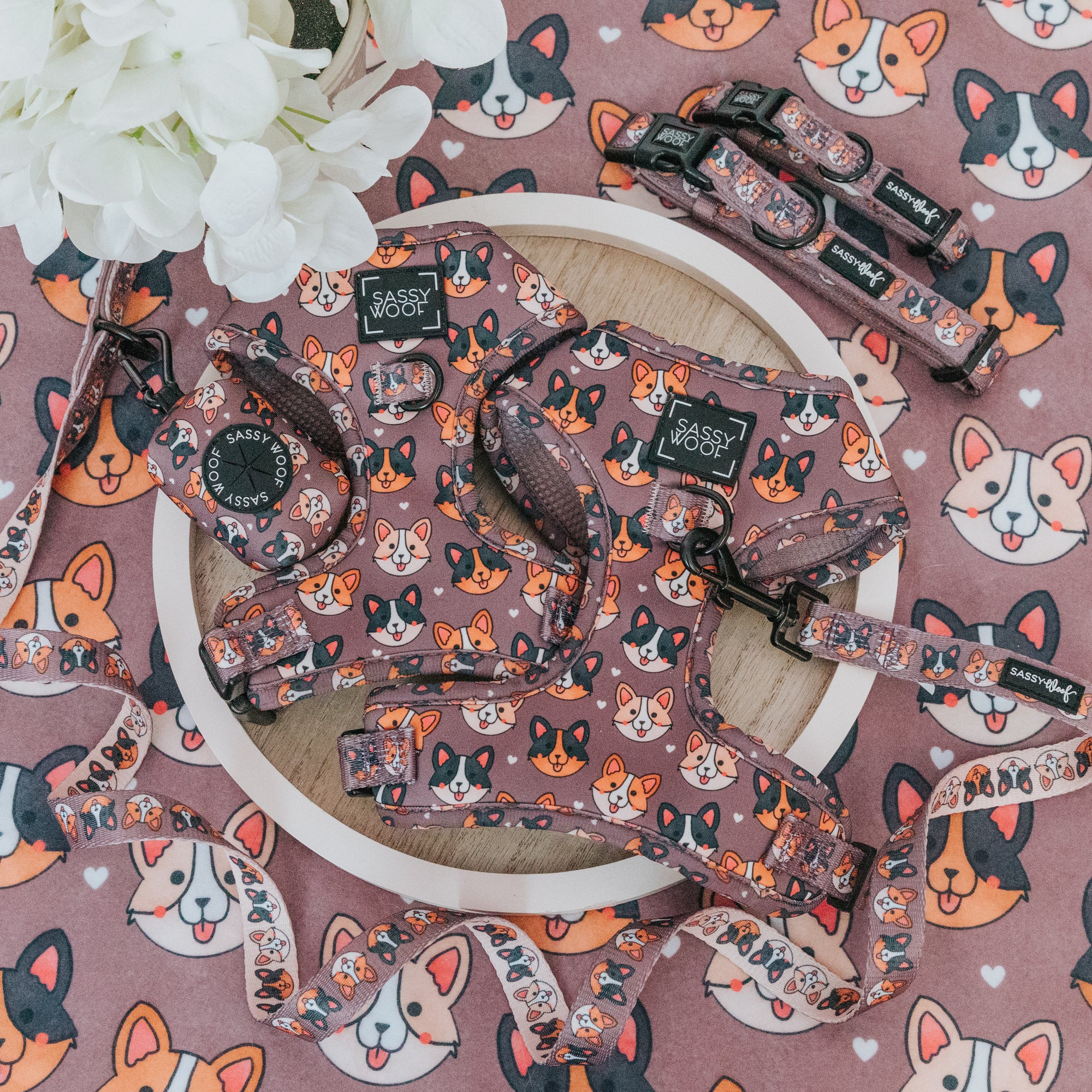 Cuddly Corgis | Sassy Woof Collection