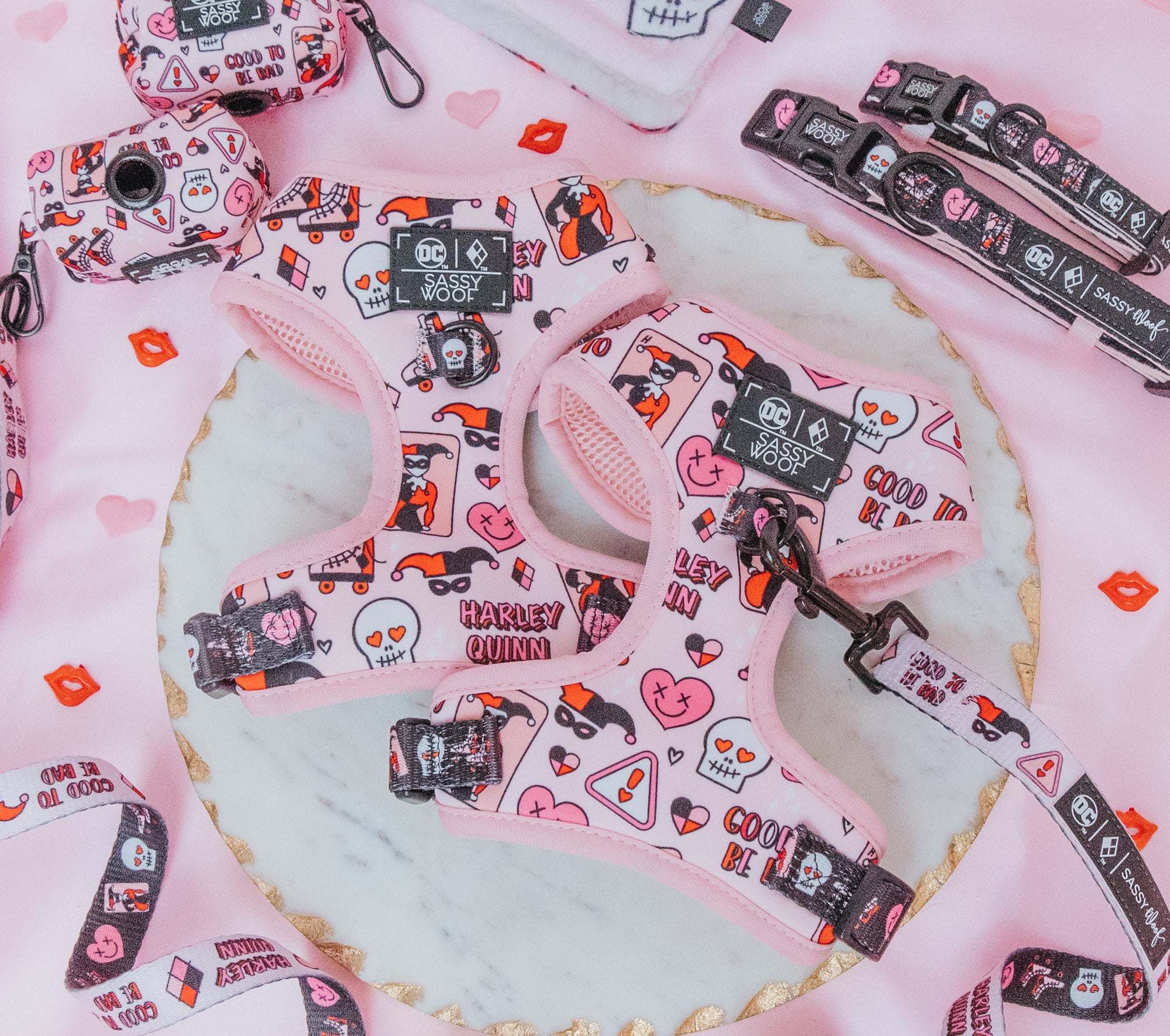 Harley Quinn™ X Sassy Woof | Sassy Woof Collection