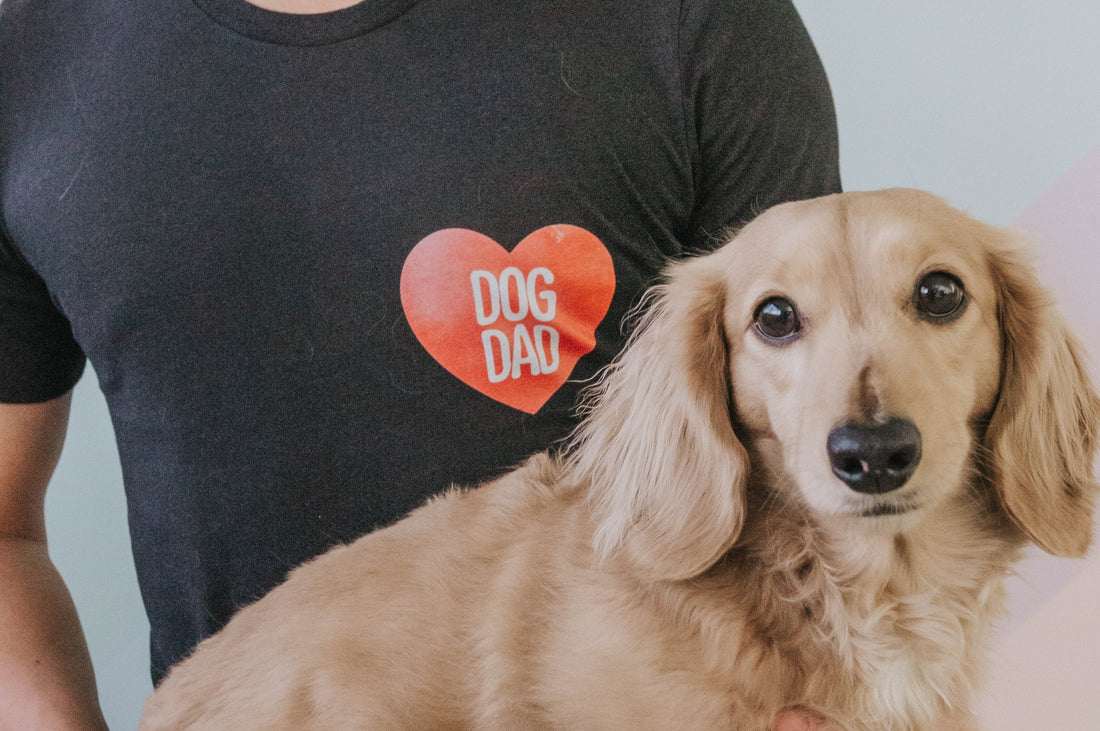 Collections | Sassy Woof