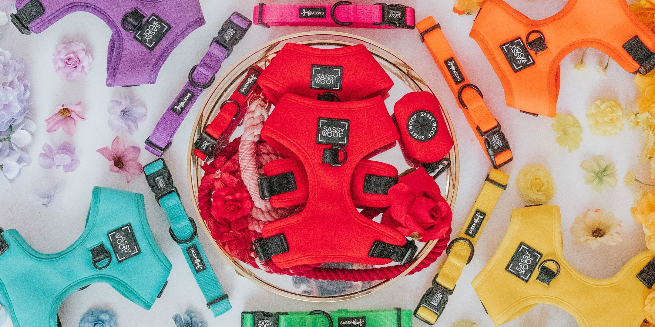 Neon Collection | Sassy Woof Collection