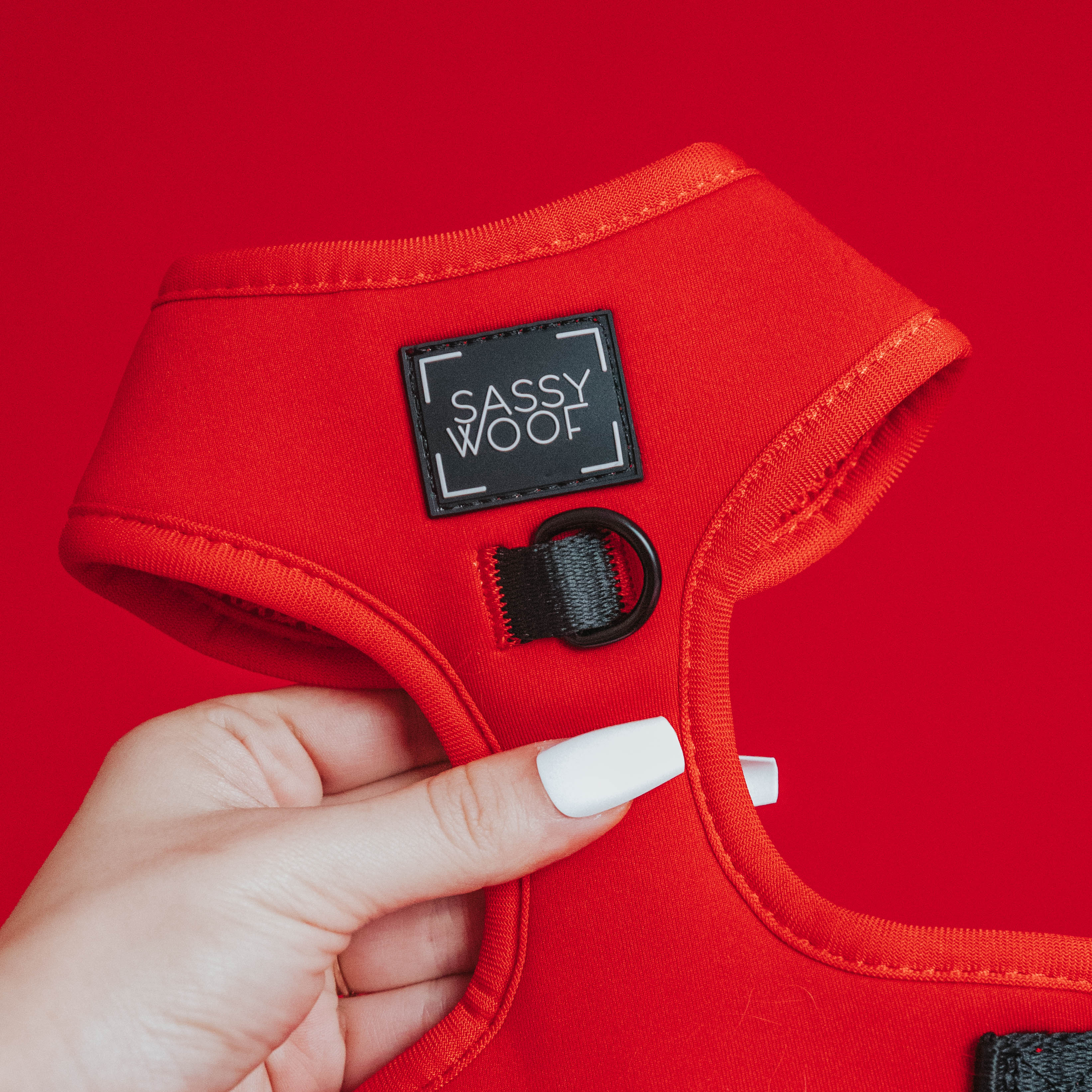 Neon Red | Sassy Woof Collection