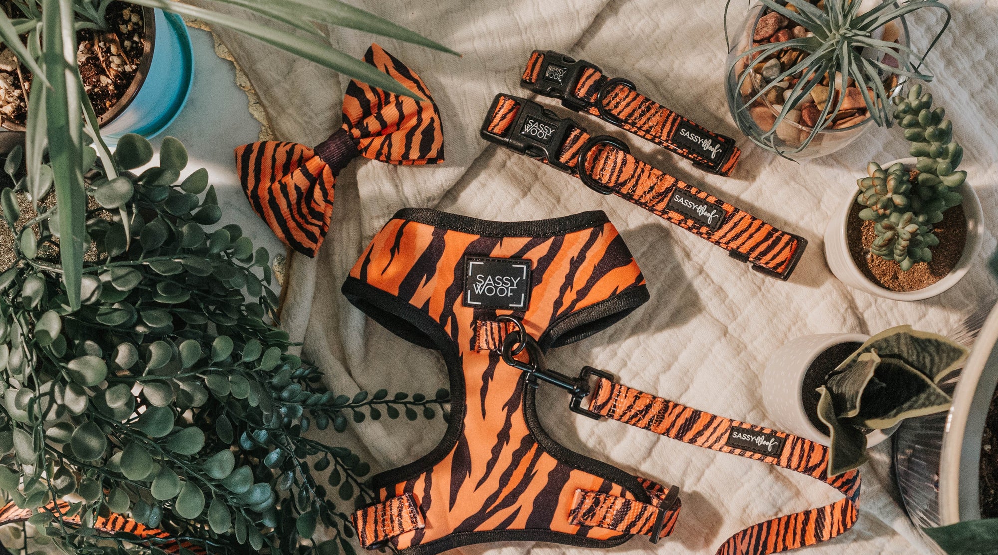 Paw of the Tiger | Sassy Woof Collection
