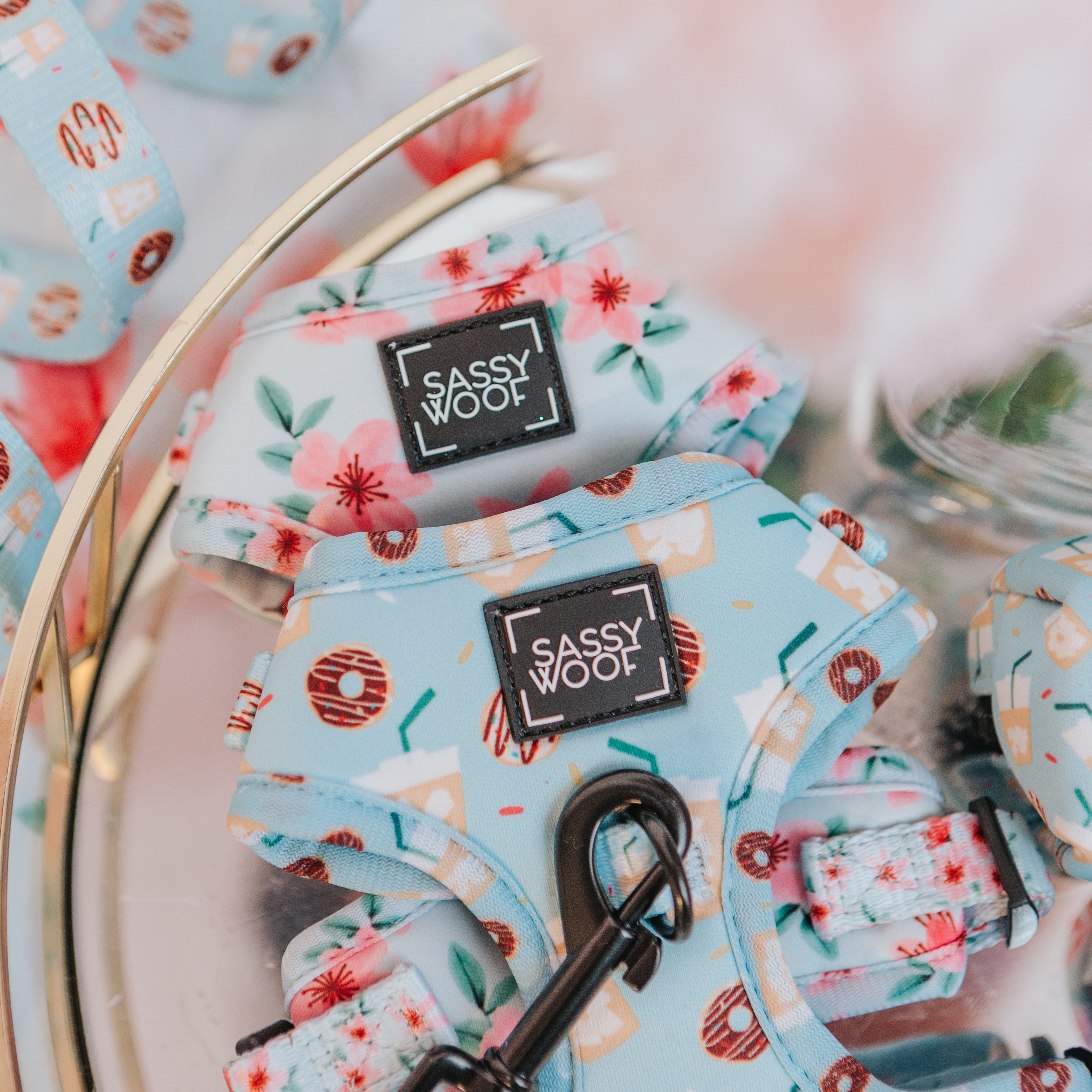 Two Piece Bundles | Sassy Woof Collection