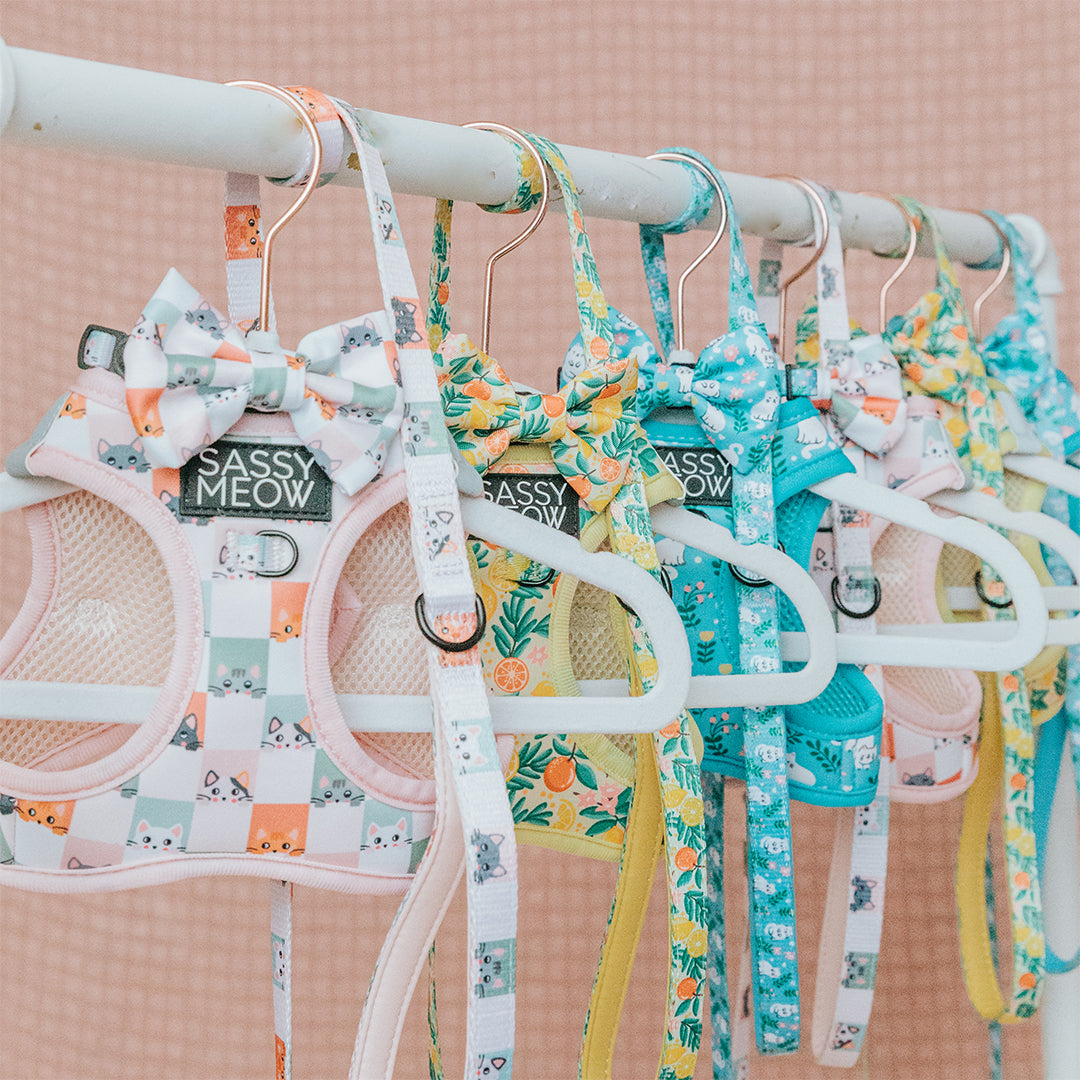 Cat Bundles | Sassy Woof Collection