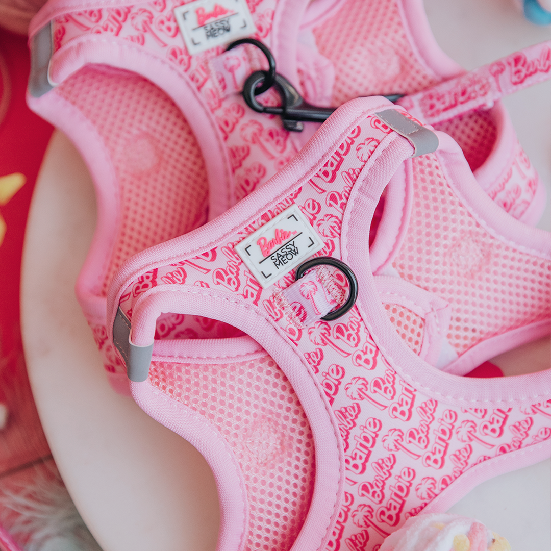 Barbie™ x Sassy Meow | Sassy Woof Collection