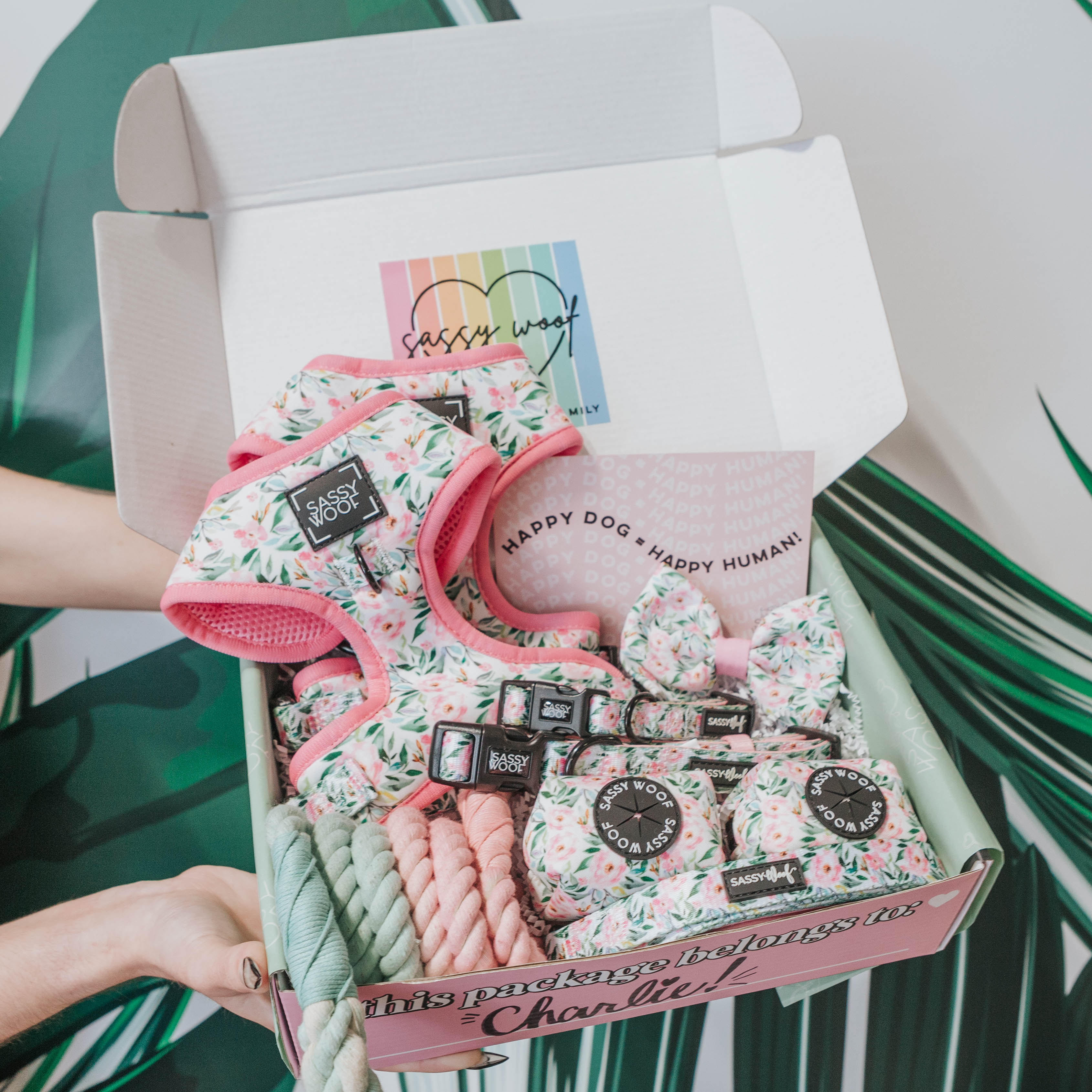 Magnolia | Sassy Woof Collection