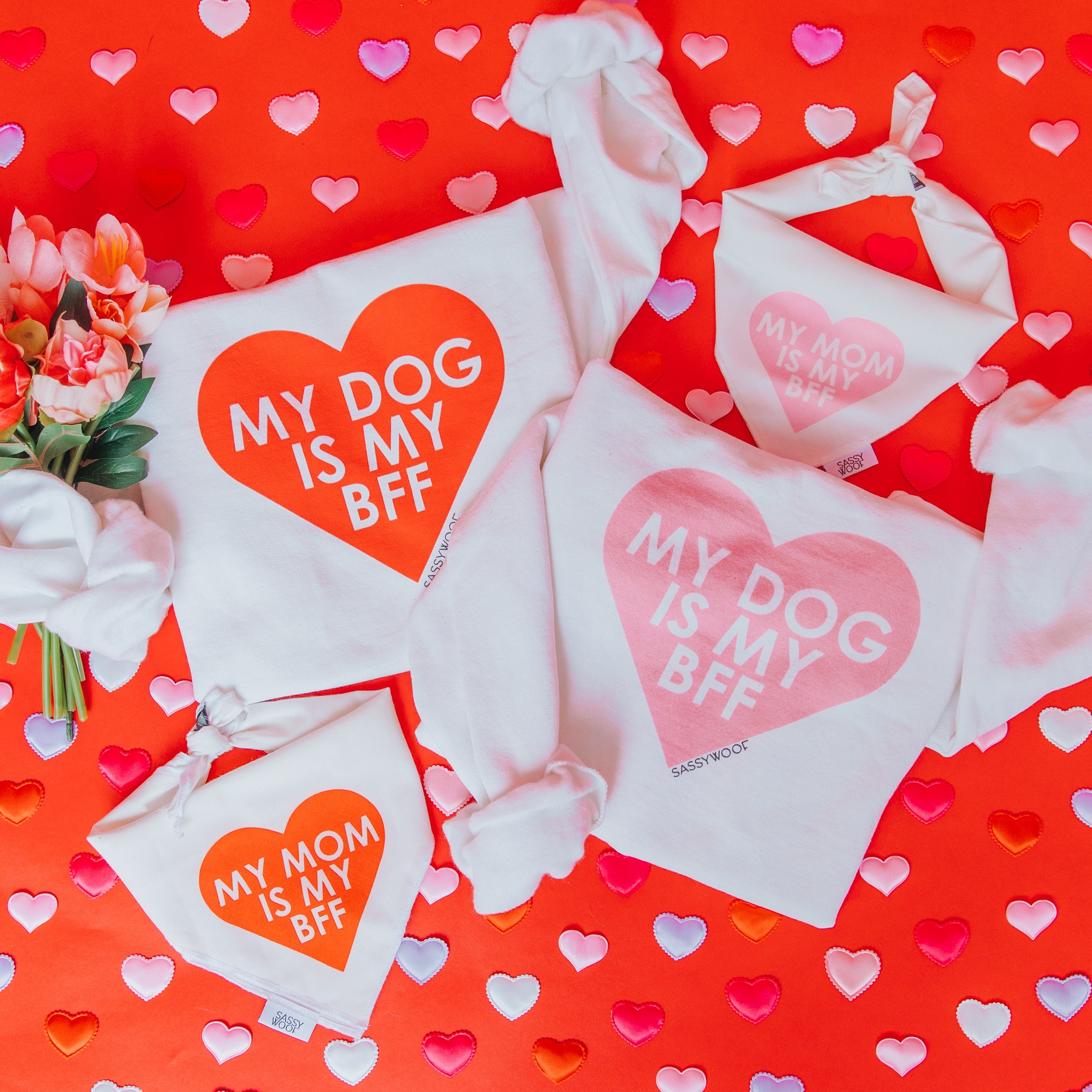 BFF Bandana & Sweatshirt | Sassy Woof Collection