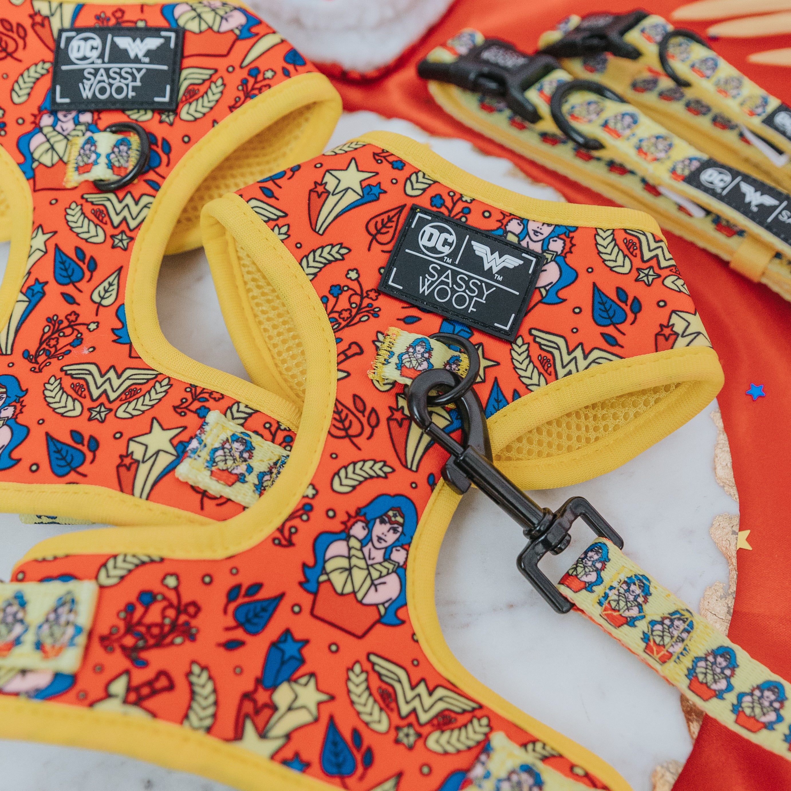 Wonder Woman™ X Sassy Woof | Sassy Woof Collection