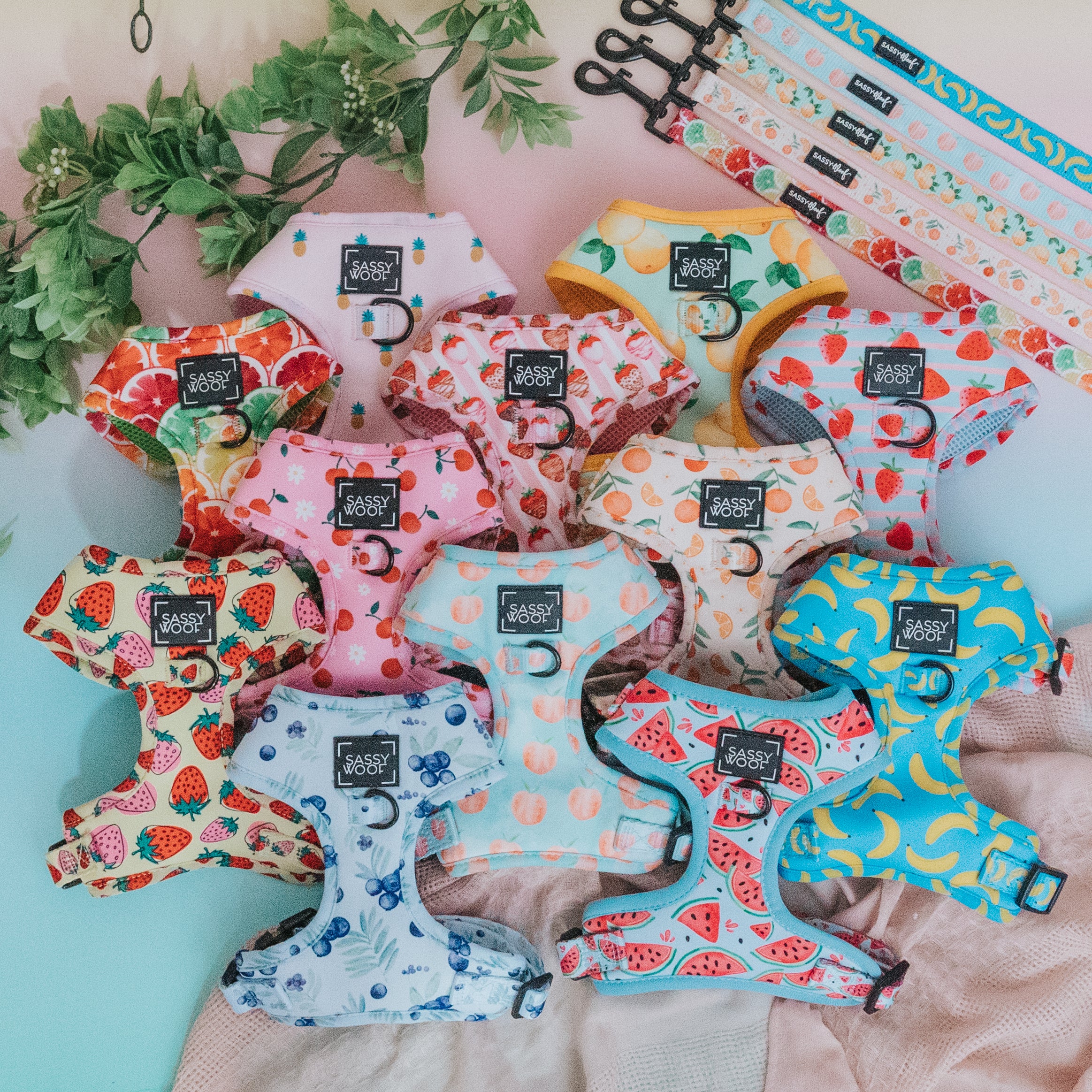 Dog Leashes - Rope | Sassy Woof Collection