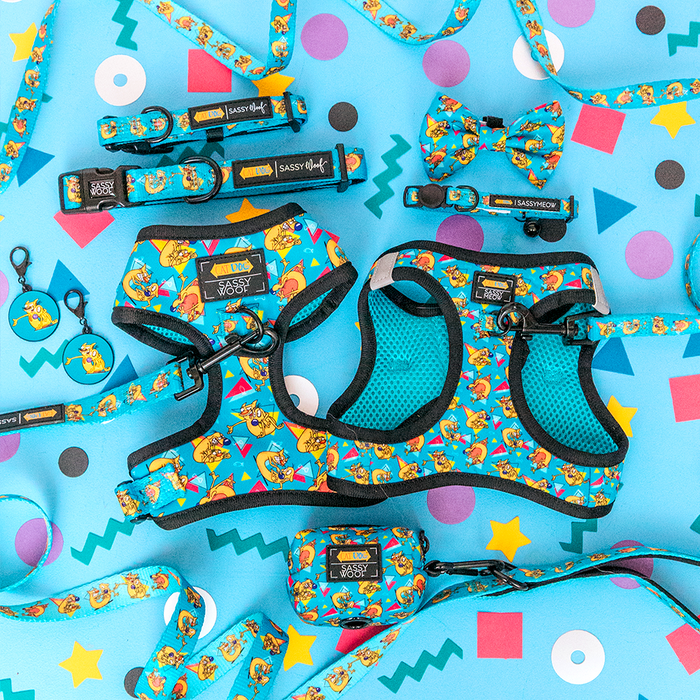 Affordable & Modern Accessories for Dogs | Sassy Woof