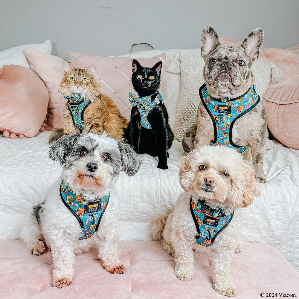 Affordable & Modern Accessories for Dogs | Sassy Woof
