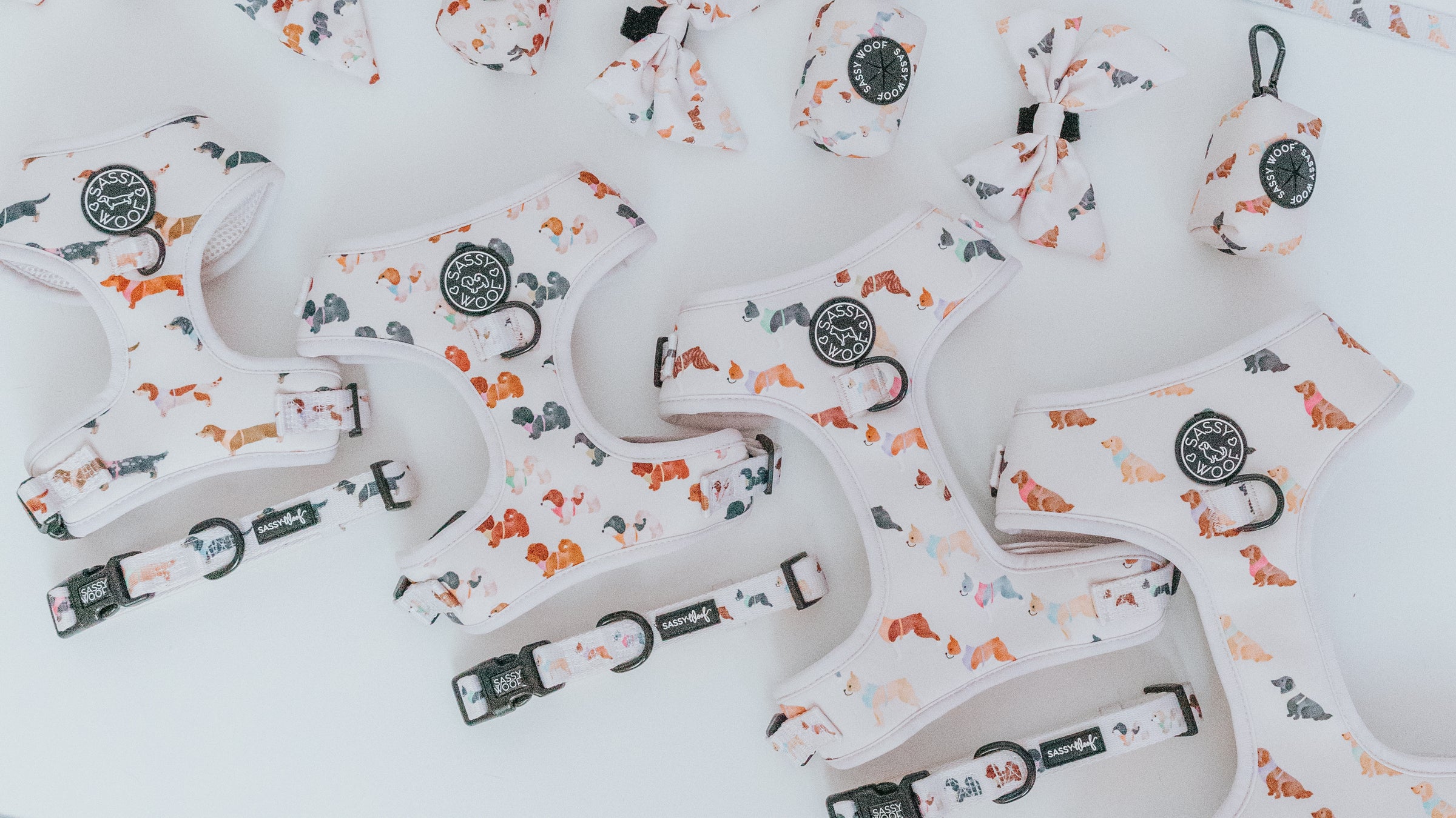 Affordable & Modern Accessories for Dogs | Sassy Woof