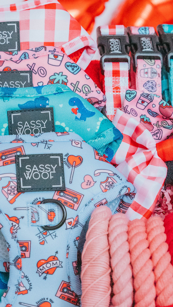 Affordable & Modern Accessories for Dogs | Sassy Woof