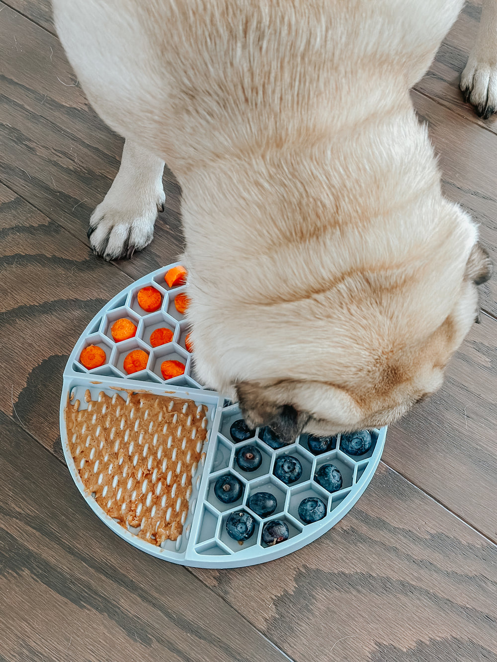 Dog Lick Mat | Sassy Woof Product