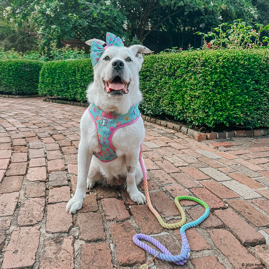 Dog Rope Leash - Polly Pocket™ | Sassy Woof Product