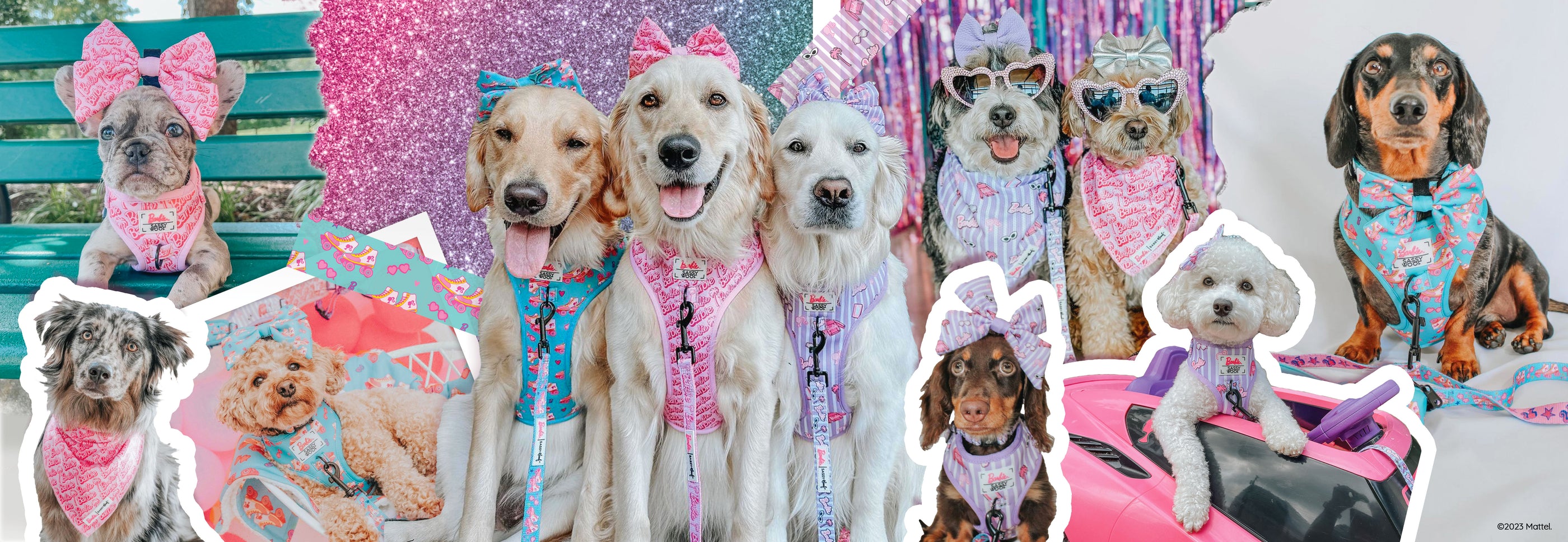 Barbie™️ | Sassy Woof