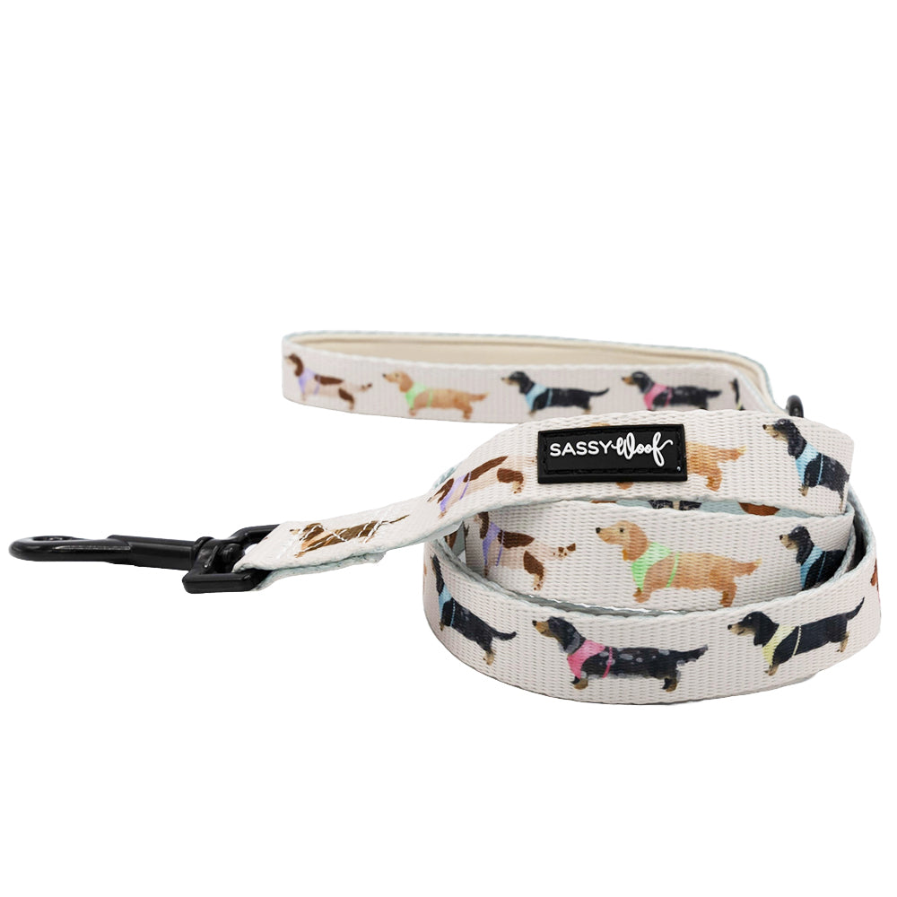 Dog Leash - Dainty Dachshunds | Sassy Woof Product