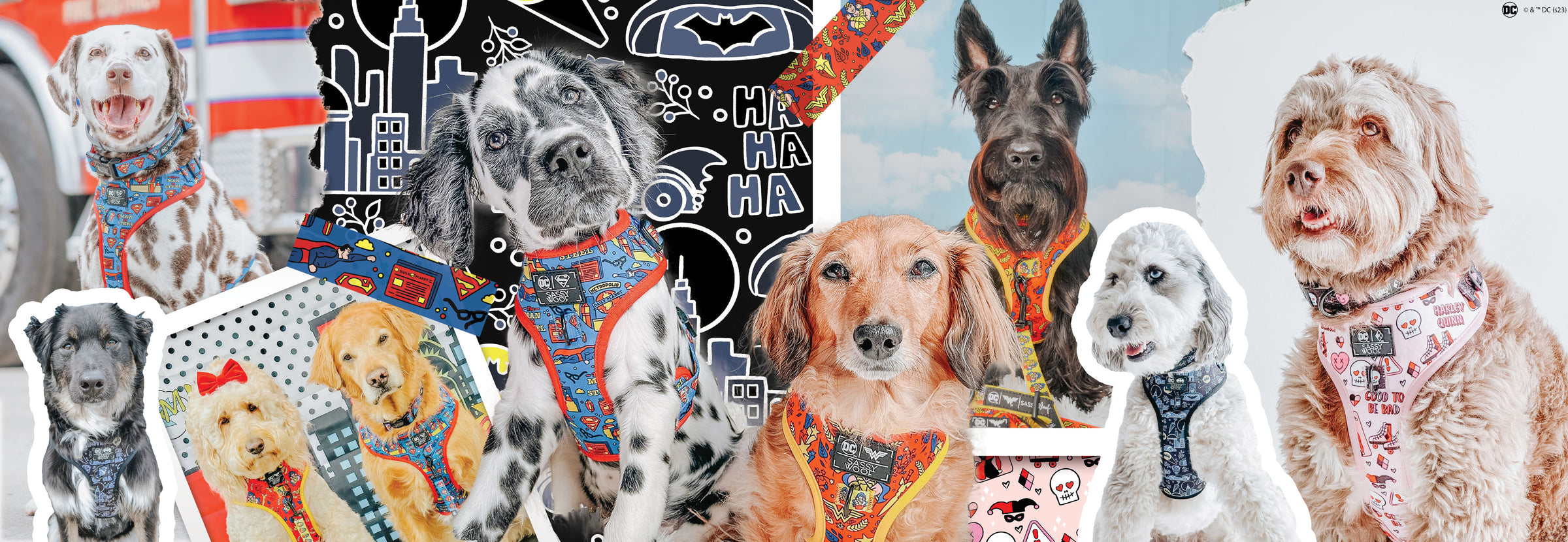 DC-Collection | Sassy Woof