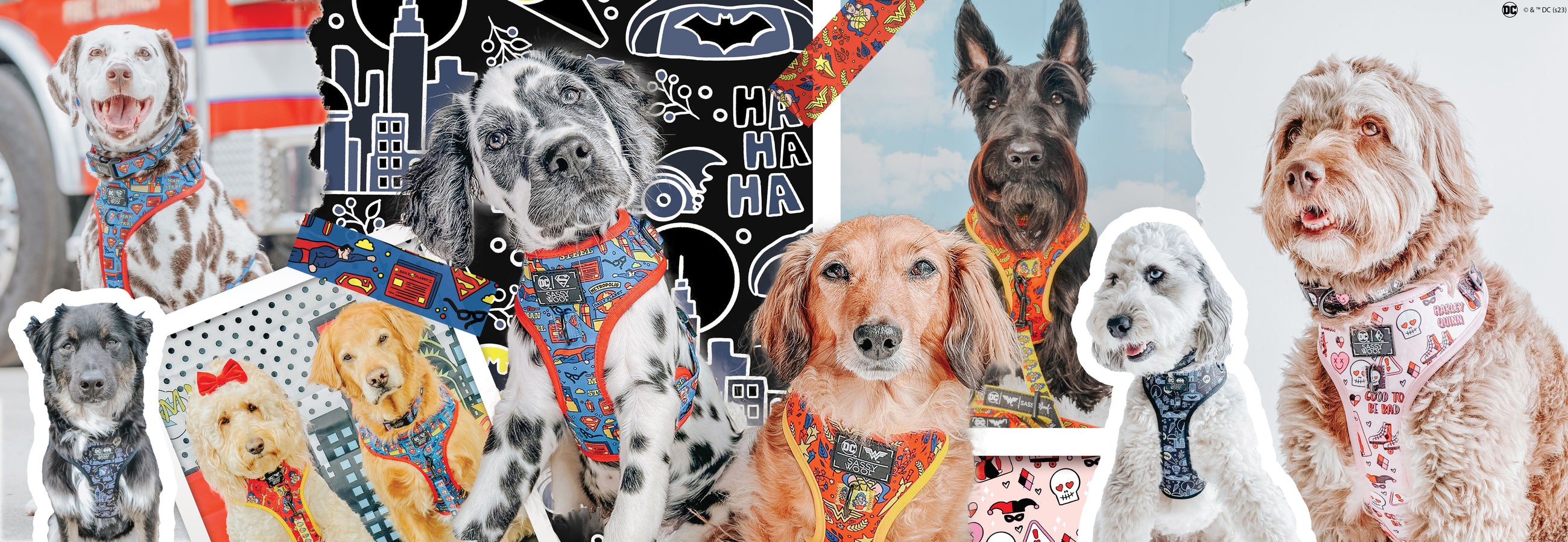 DC-Collection | Sassy Woof