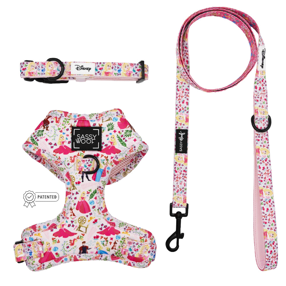 Disney's Aurora - Harness Three Piece Bundle | Sassy Woof Product