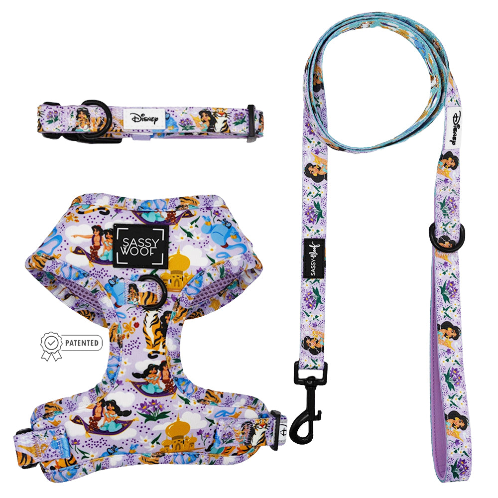 Disney's Jasmine - Harness Three Piece Bundle | Sassy Woof Product