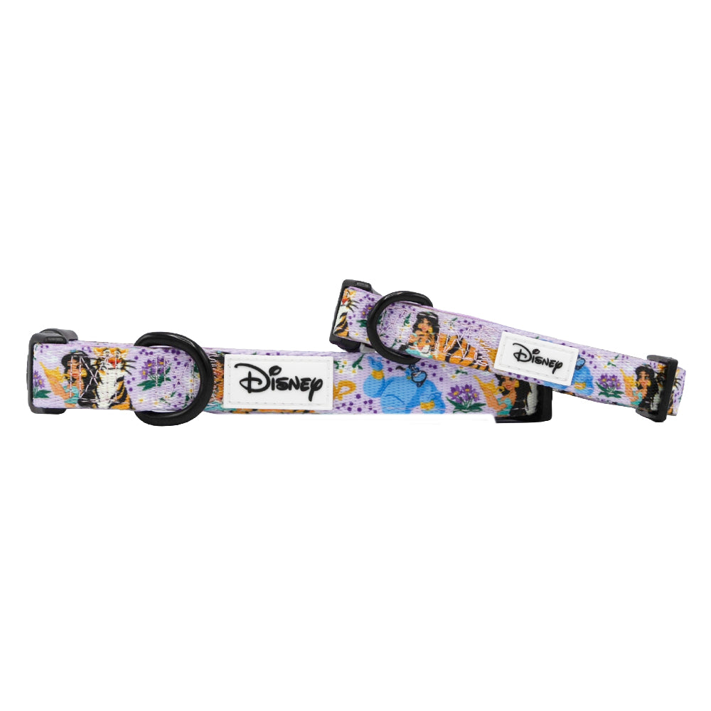 Disney's Jasmine - Dog Collar | Sassy Woof Product