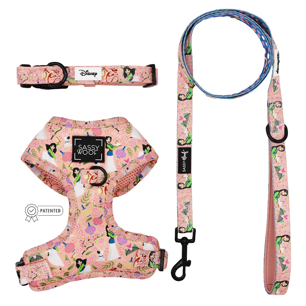 Disney's Mulan - Harness Three Piece Bundle | Sassy Woof Product